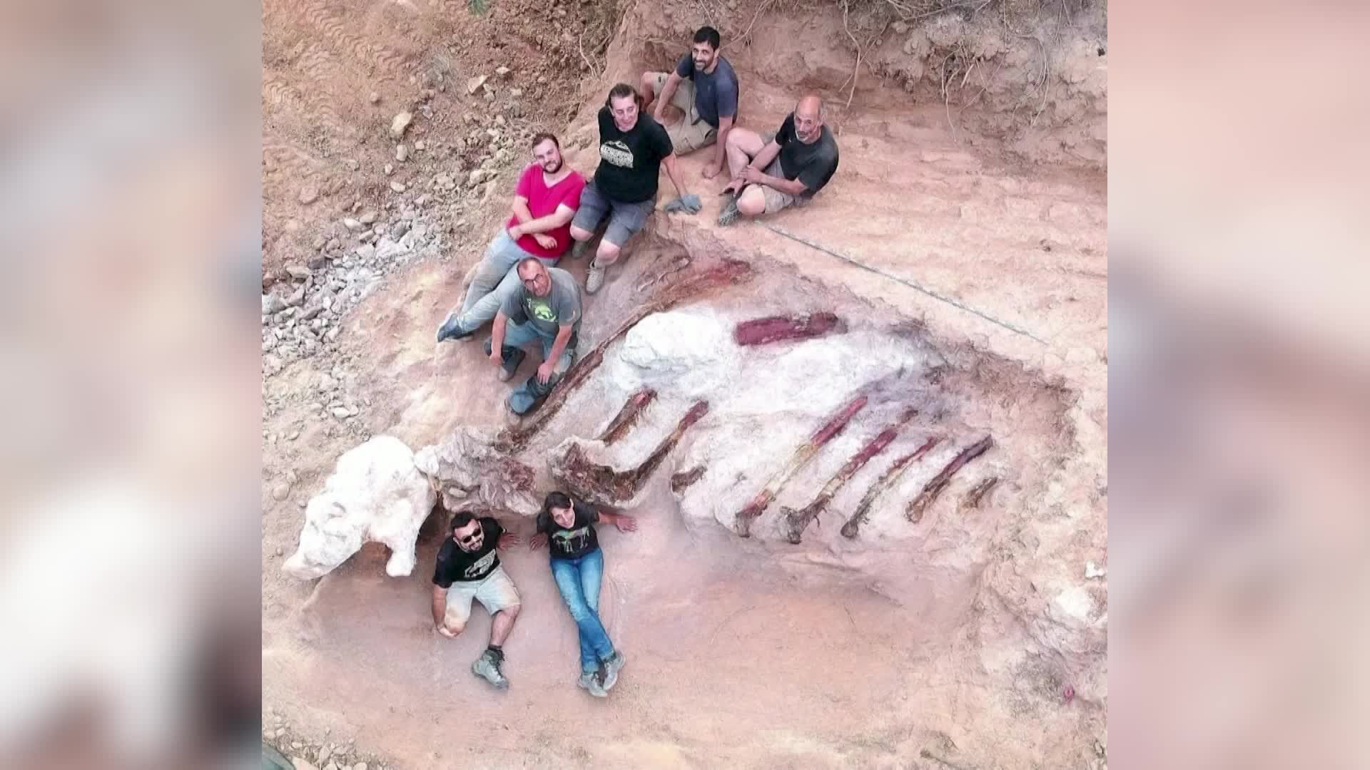 Dinosaur Skeleton May Be Largest Ever Found In Europe - Videos from The ...