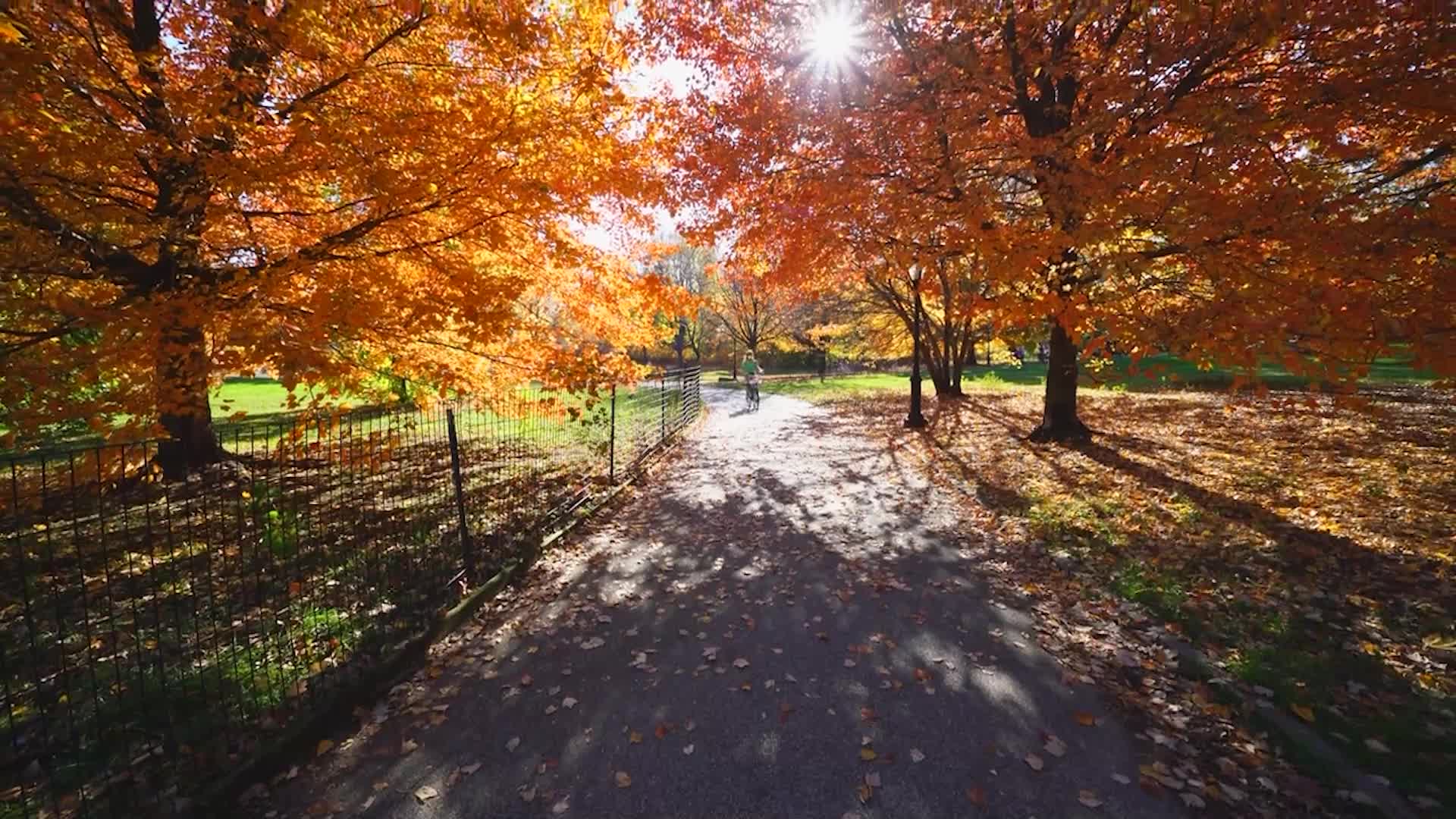 Fall Is Warmer Now Thanks To Climate Change - Videos from The Weather ...
