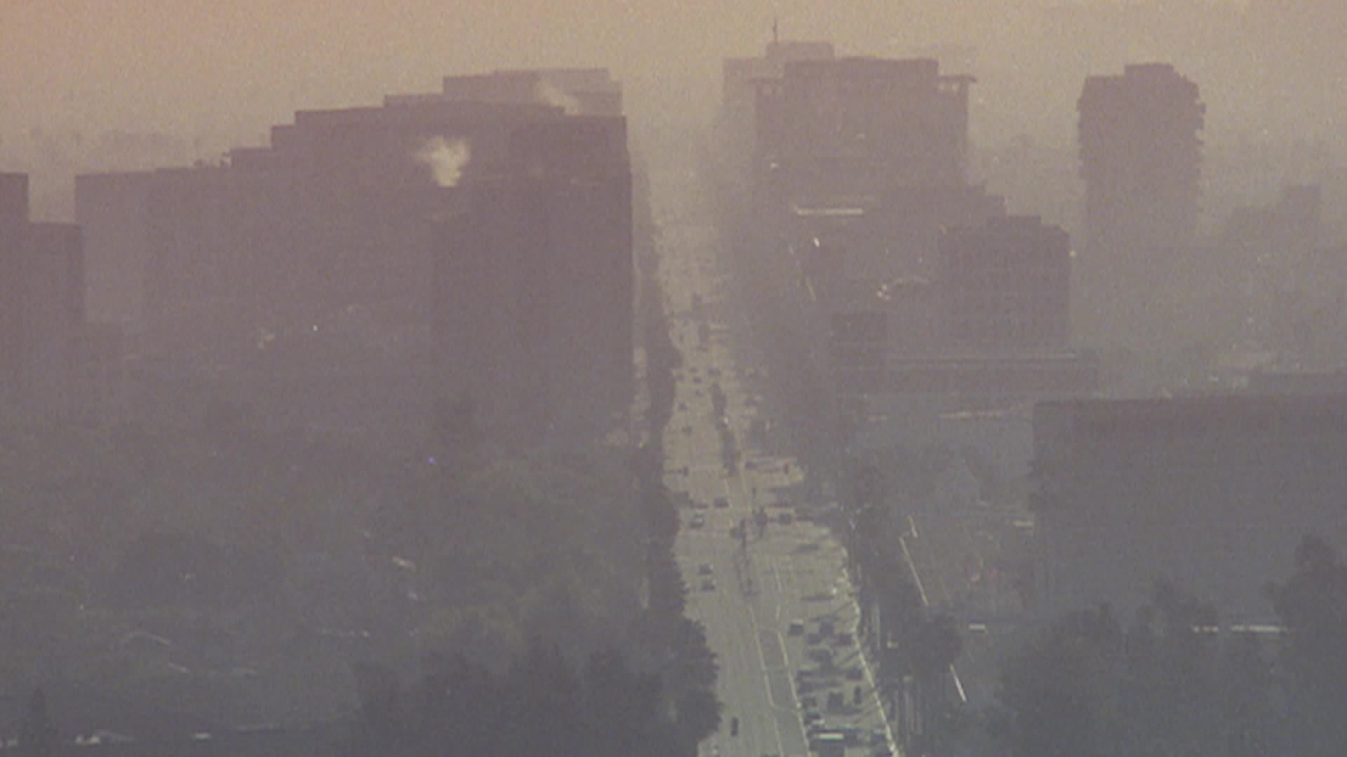 Scientists Say They’ve Figured Out How Air Pollution Causes Lung Cancer ...
