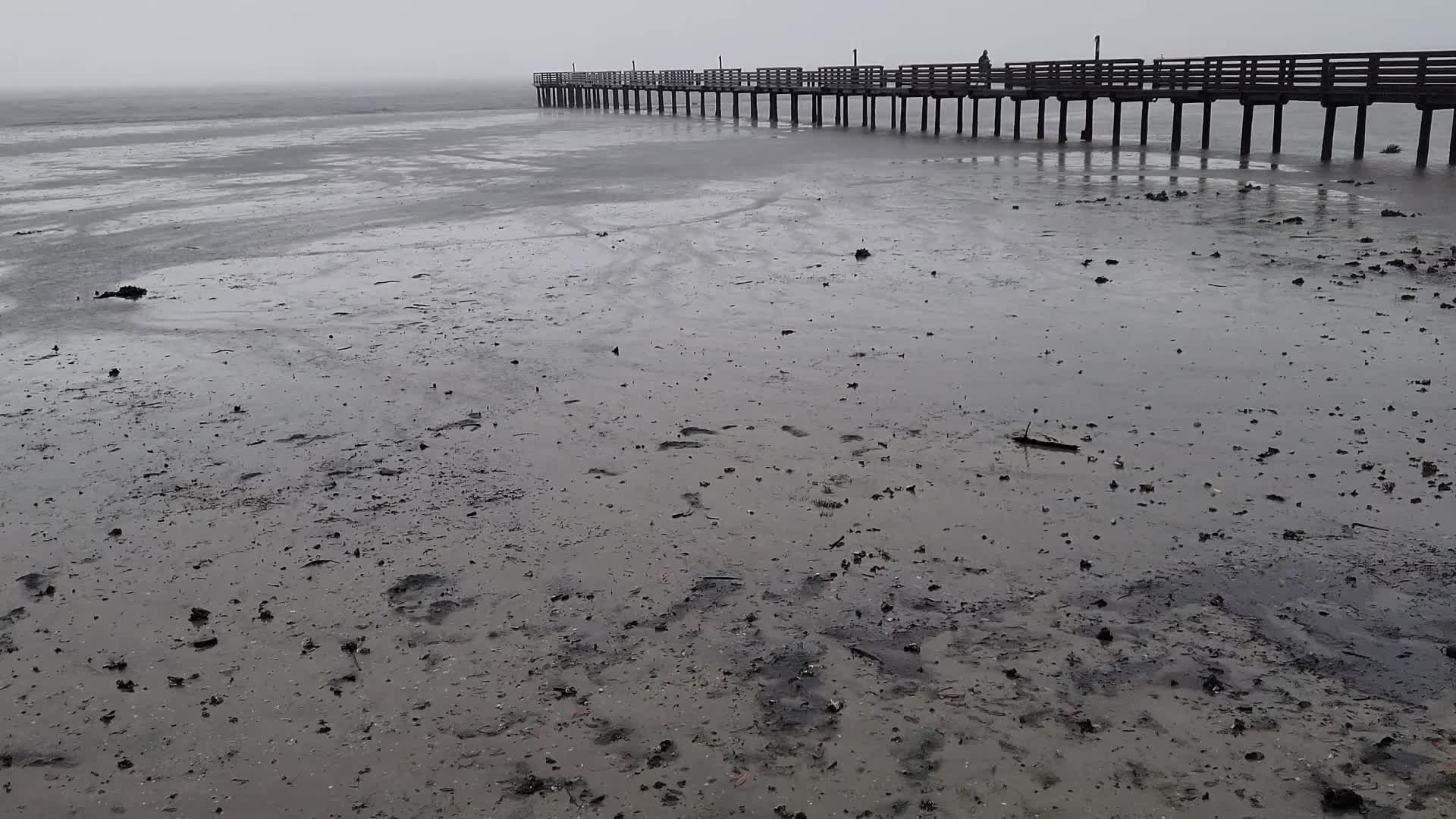 Strange Phenomenon: Ian Pushes Water Out Of Florida Waterways - Videos ...