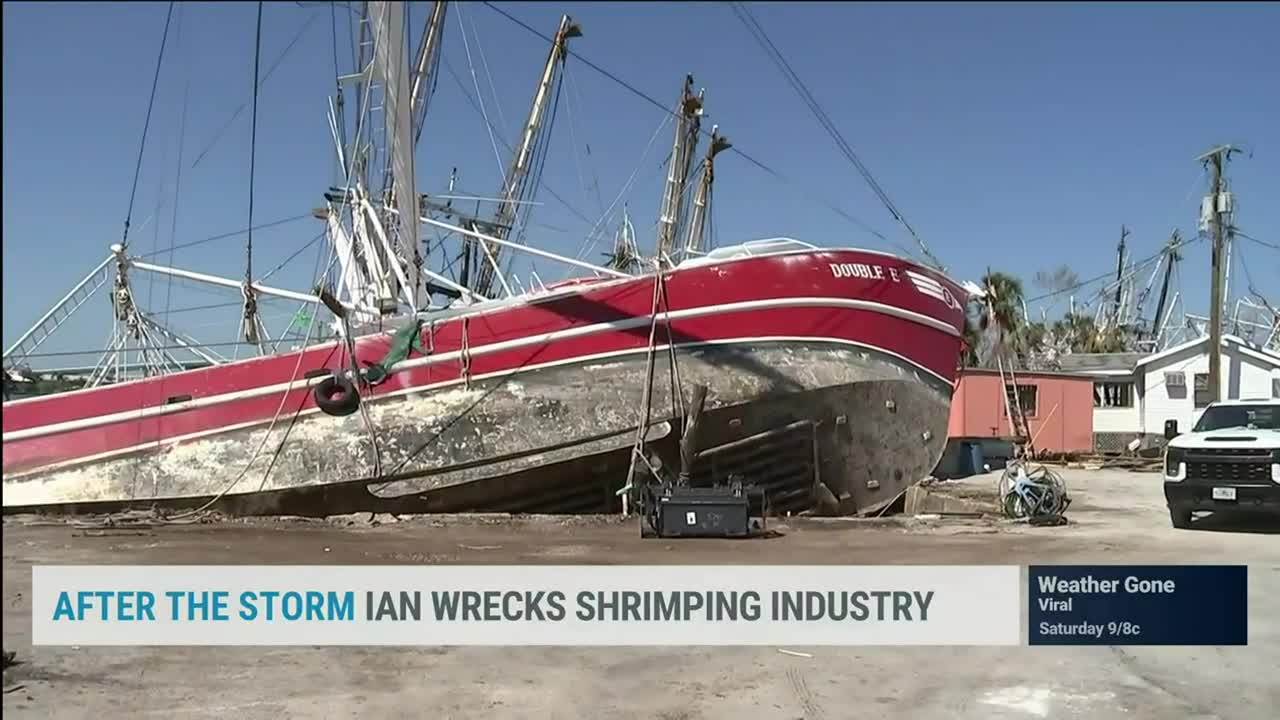 Shrimping Industry Devastated By Hurricane Ian - Videos from The ...