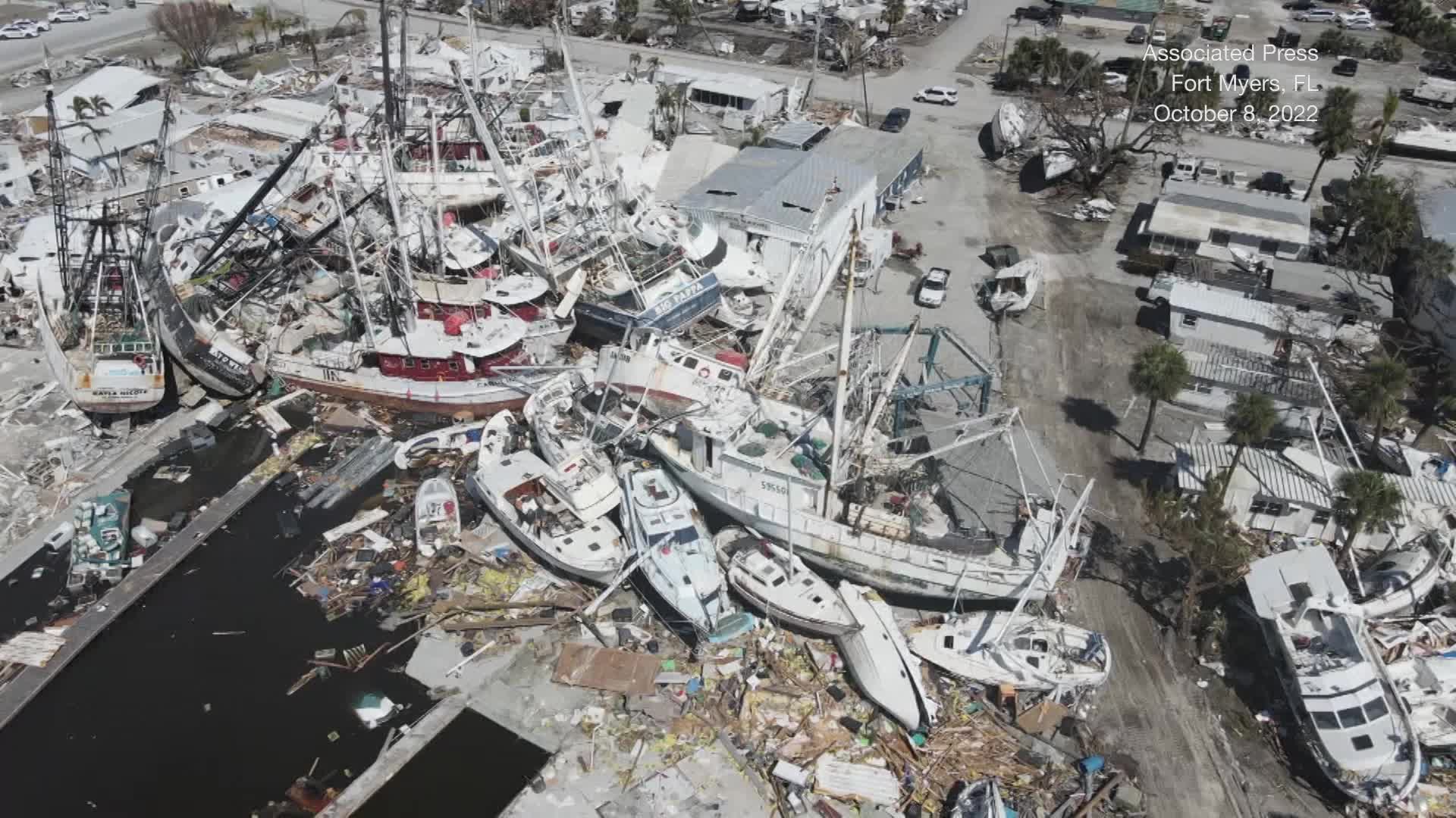 A Perilous Blow To Florida's Shrimp Industry? - Videos from The Weather ...