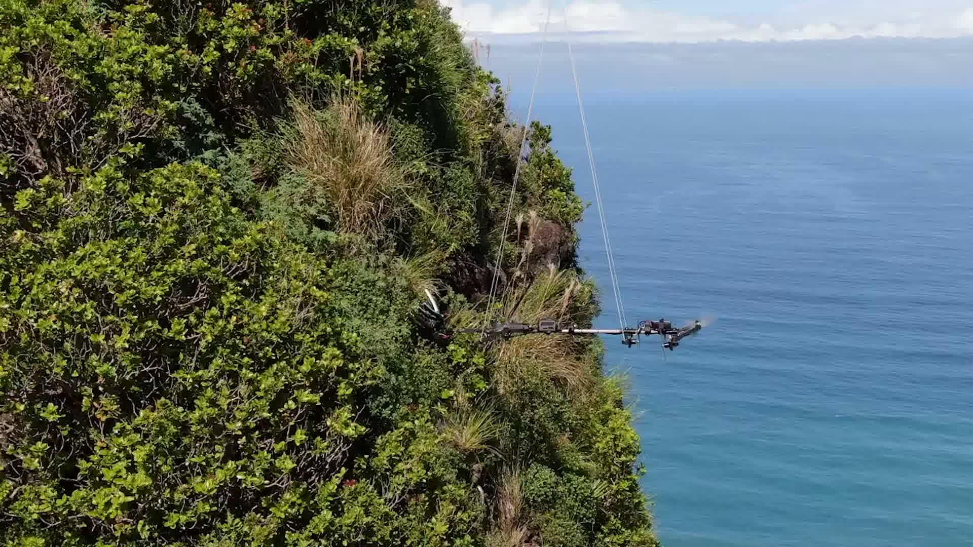 Drones Changing How Scientists Study Rare Species - Videos from The ...