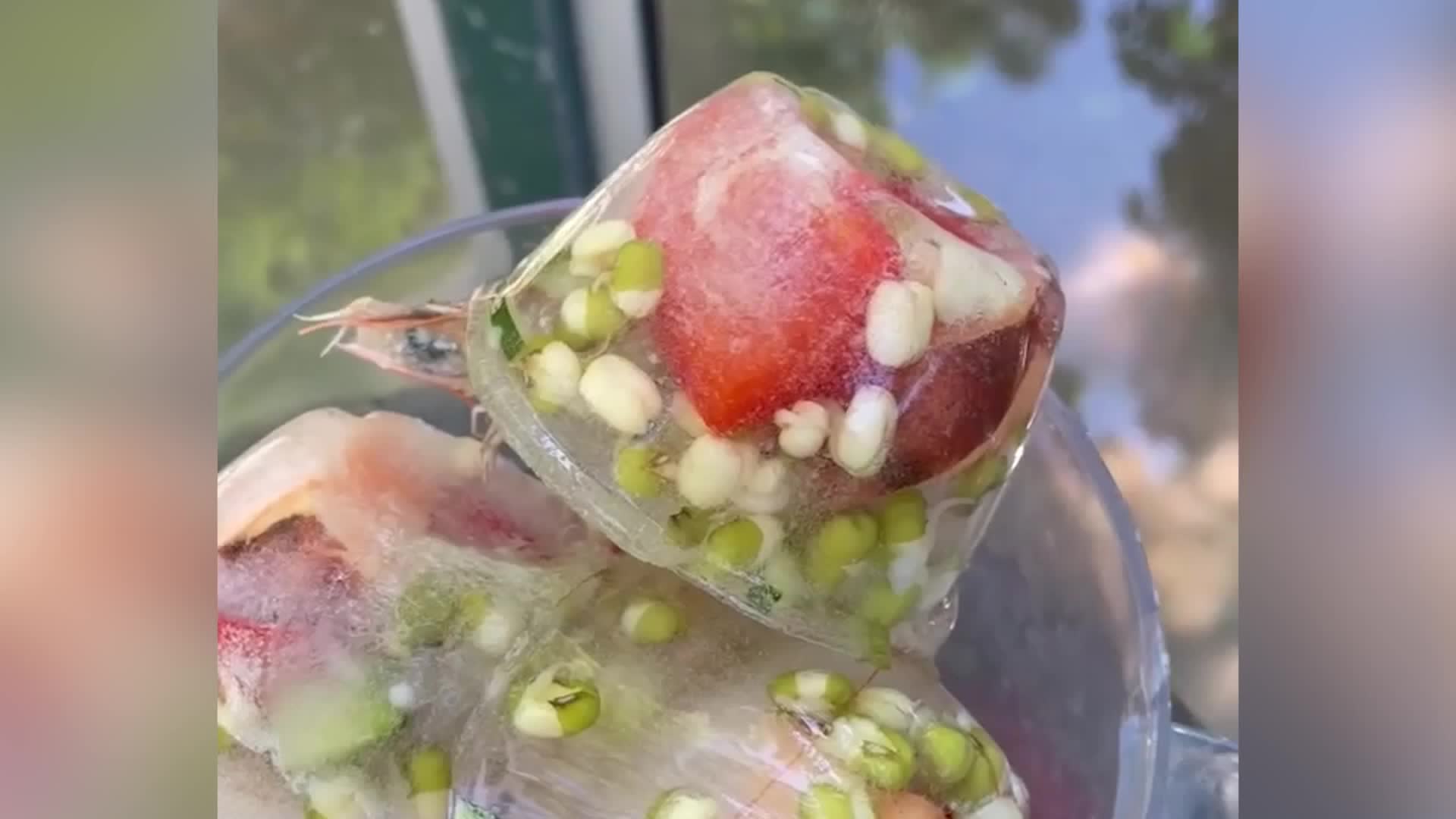 Otters Enjoy Popsicles As Australian Summer Kicks Off - Videos from The ...