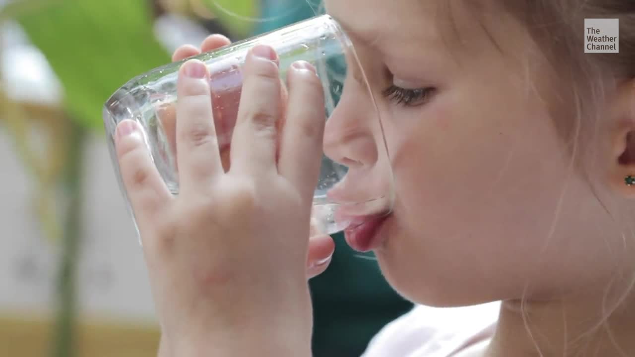 Eight Glasses Of Water A Day? - Videos from The Weather Channel