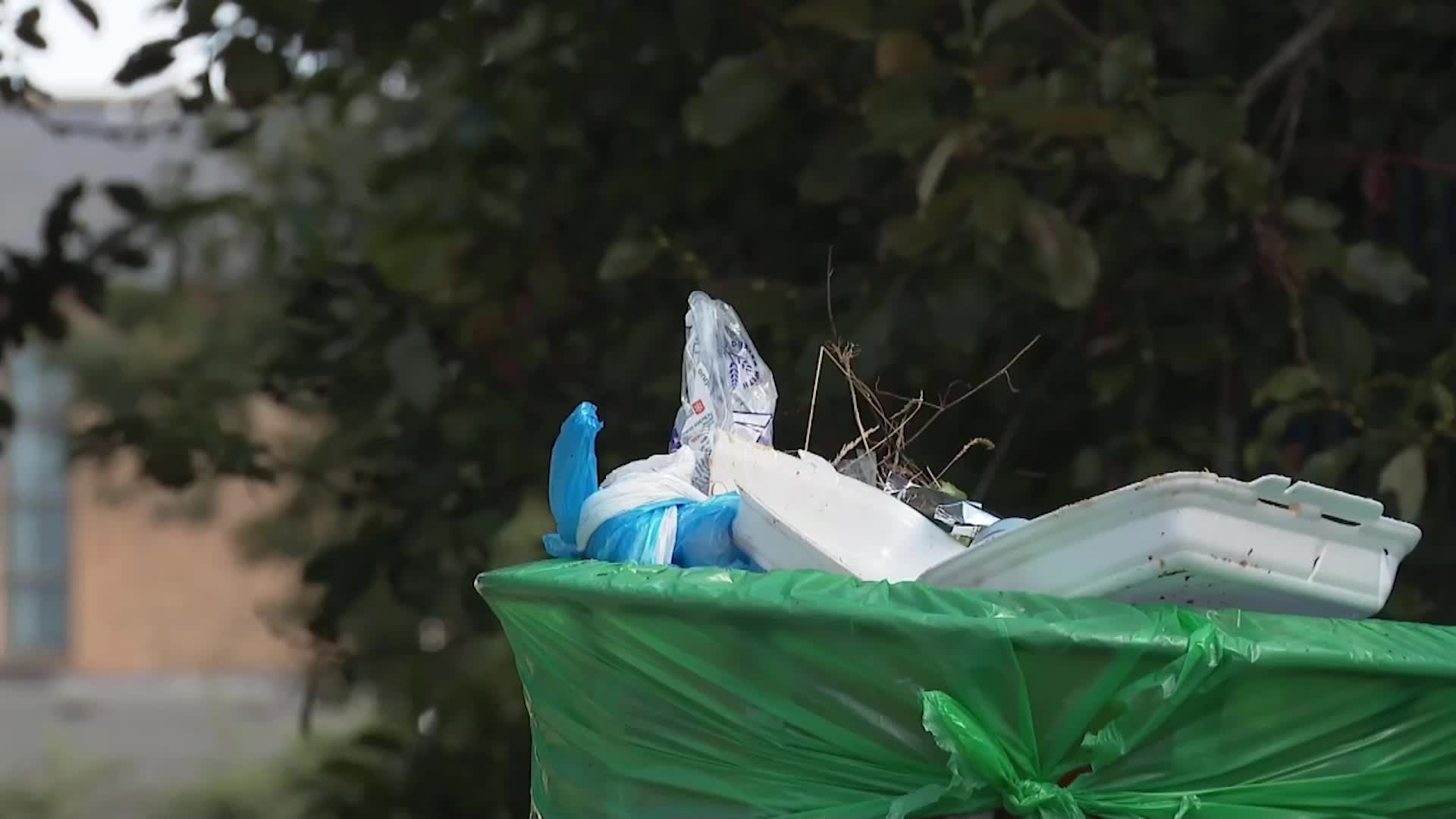 Styrofoam Ban Passes In Los Angeles - Videos from The Weather Channel