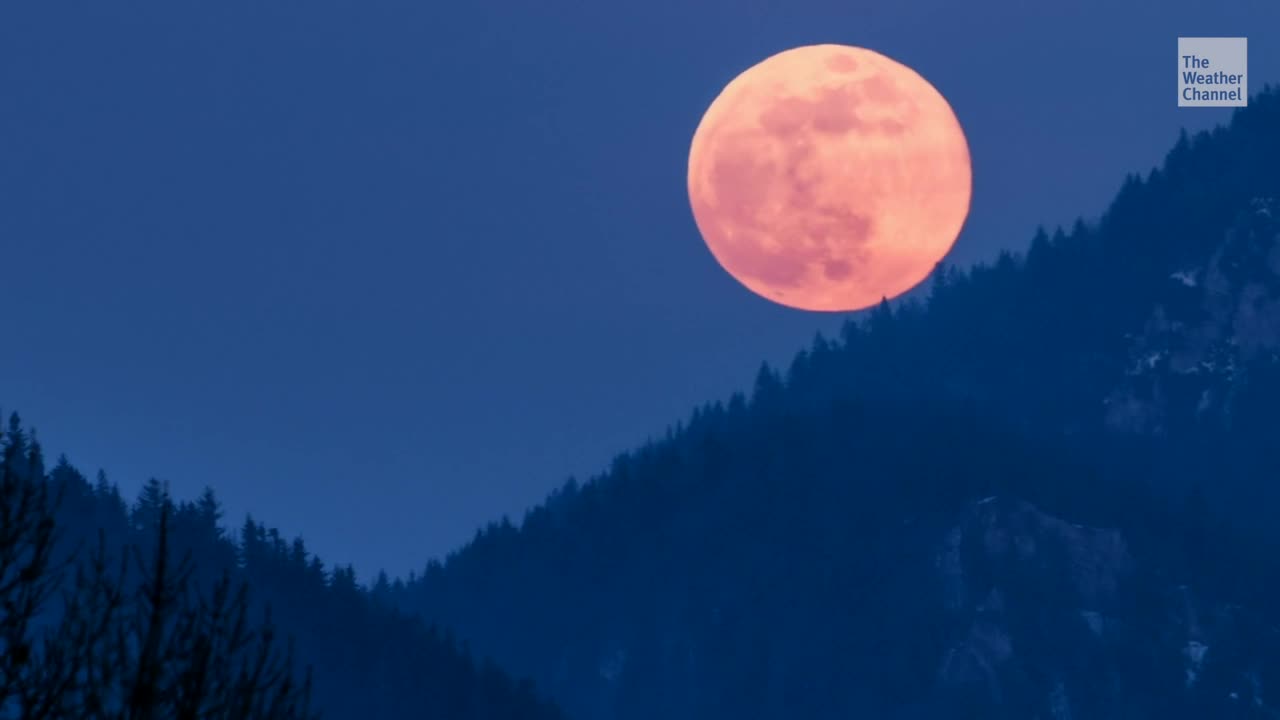 Don’t Miss These Sights In The January Night Sky - Videos from The ...