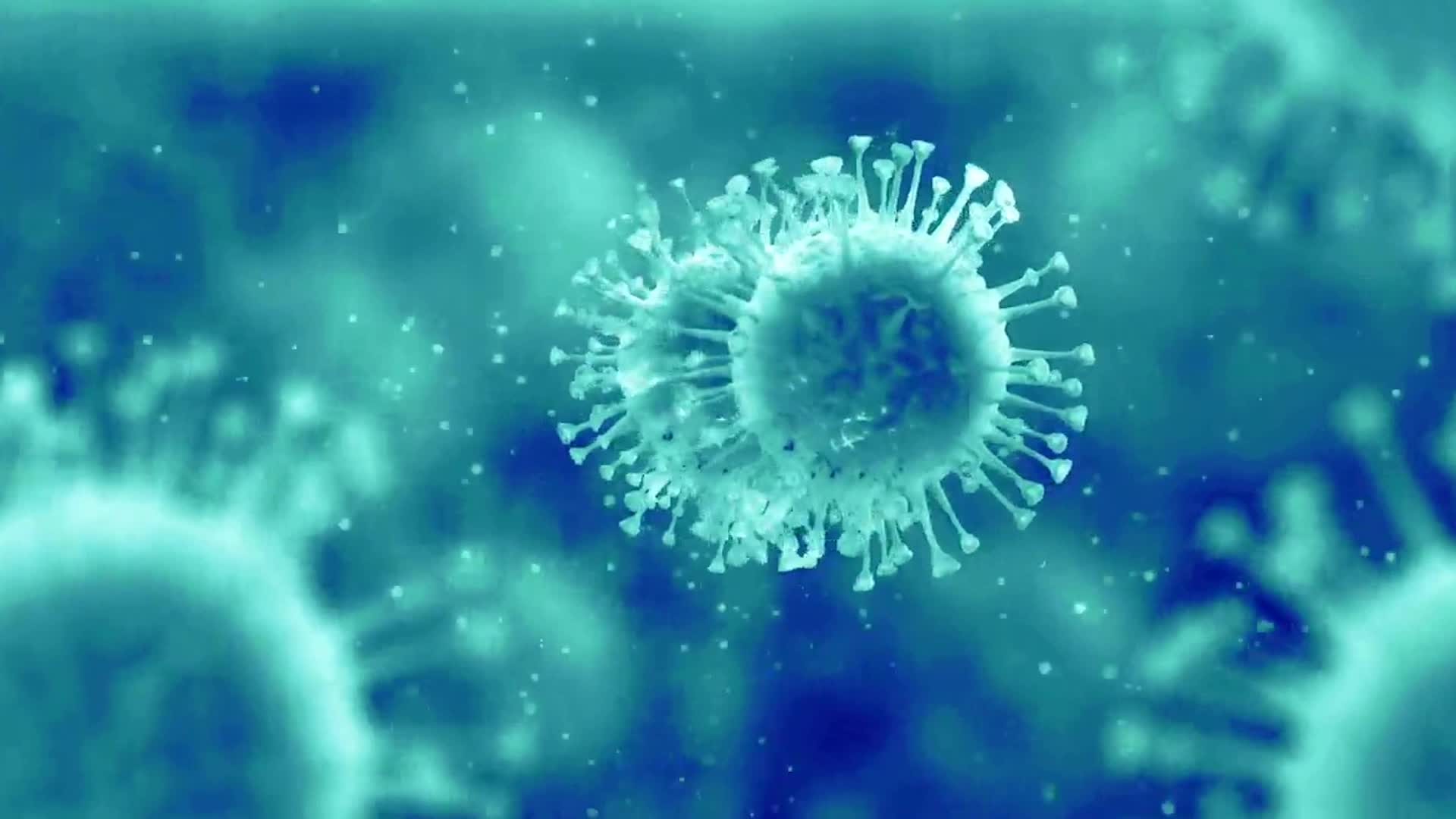 Qué sabemos sobre la nueva variante COVID Omicron - Videos de The ...