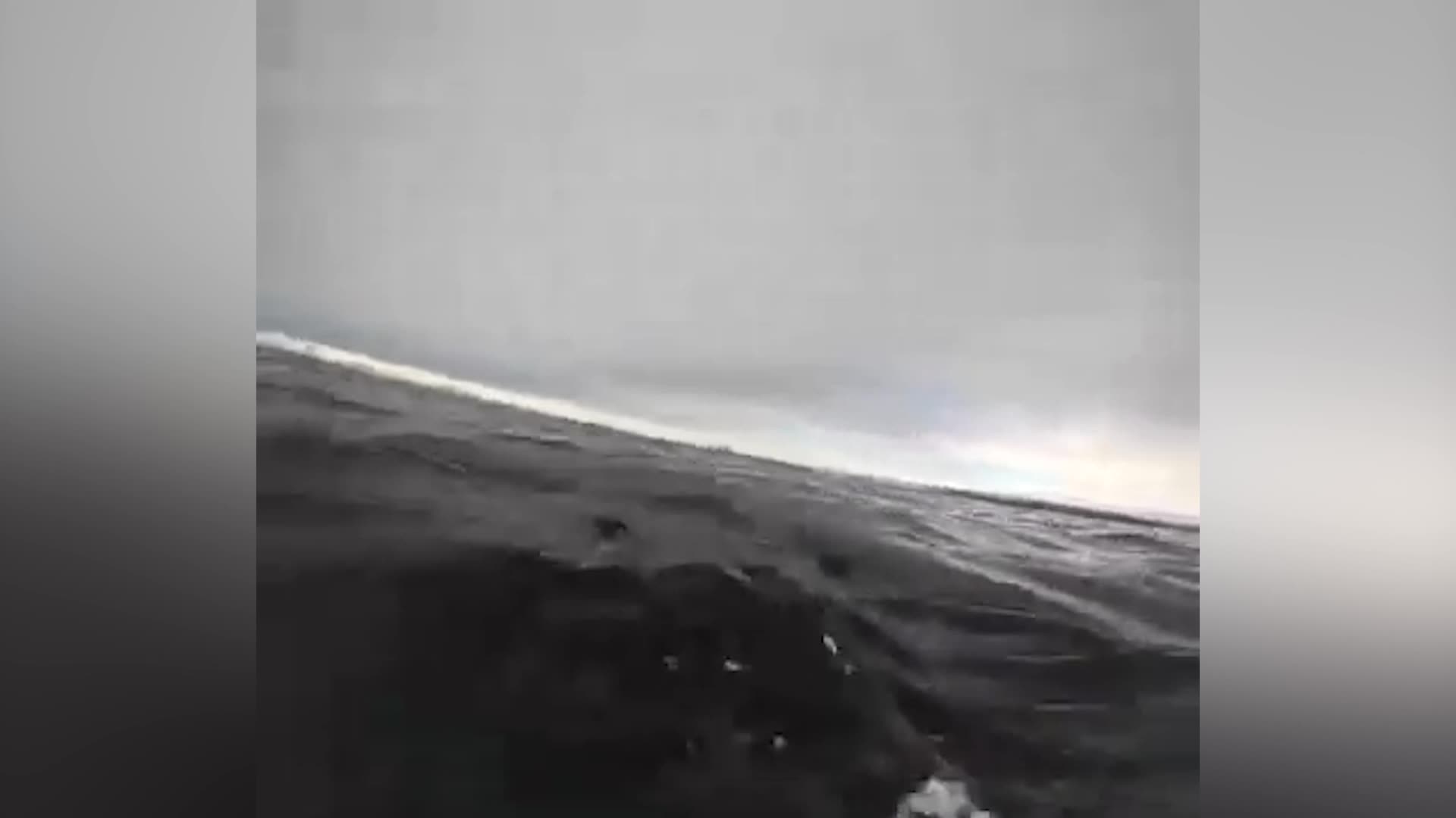 Orca Orchestra Recorded Off Coast - Videos from The Weather Channel