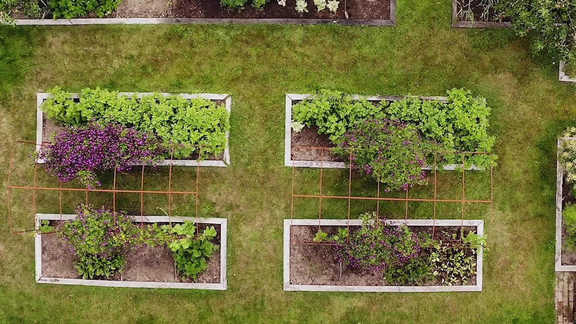 Victory Gardens Warminster at Pat Gray blog