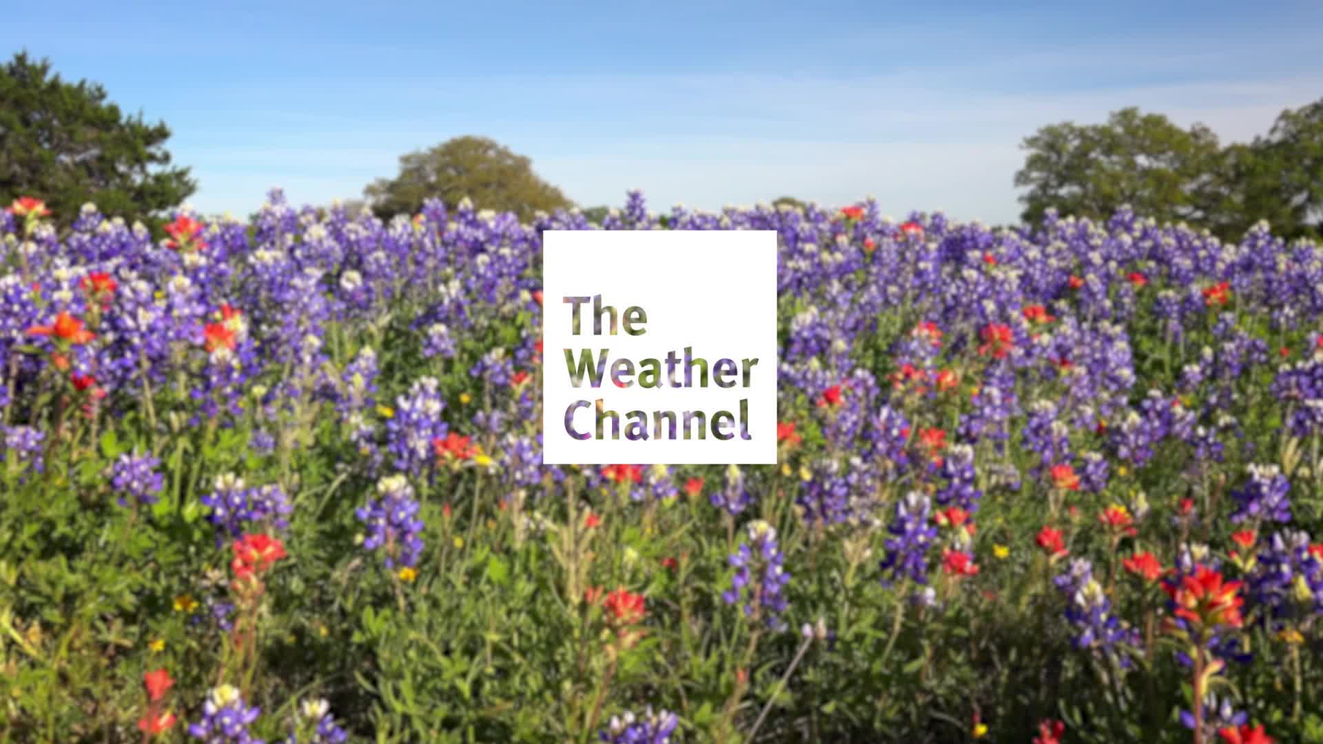 Deep Dive Into Your Spring Outlook - Videos from The Weather Channel