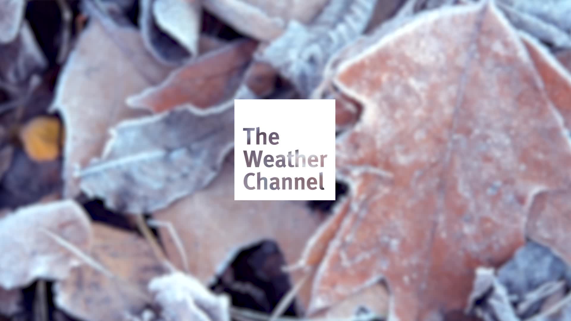 What The Models Are Showing For Upcoming Ice, Snow Threat - Videos from ...