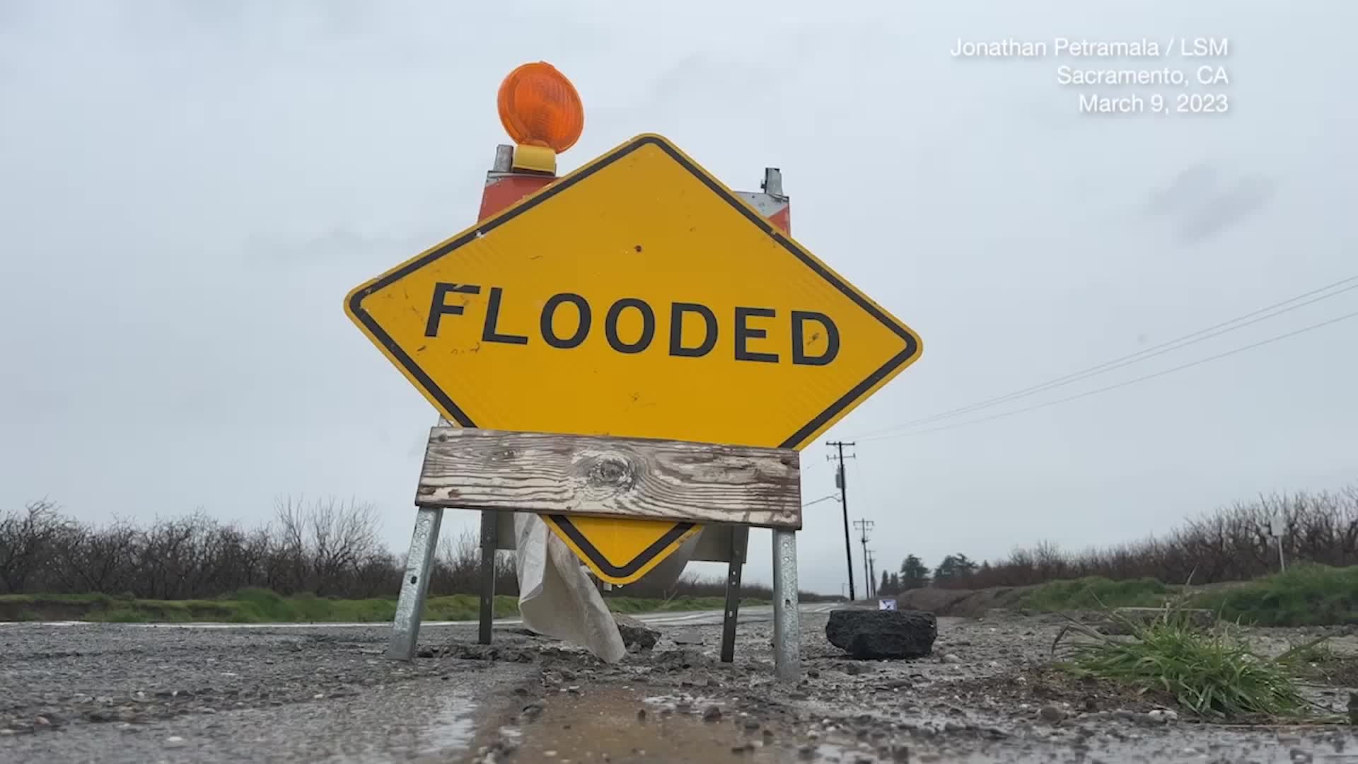 Ear Muffs for Calves - Videos from The Weather Channel