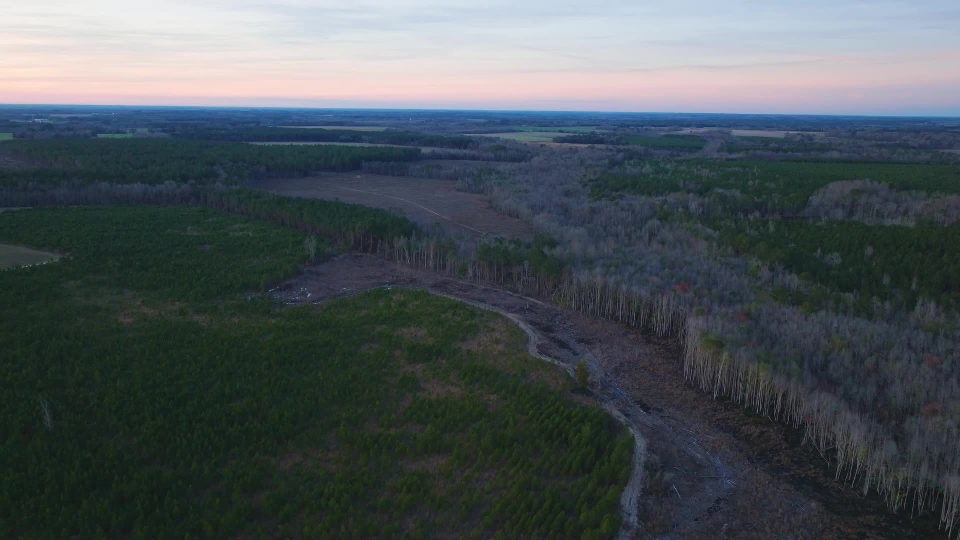 Controversy Over Genetically Modified Trees - Videos from The Weather ...