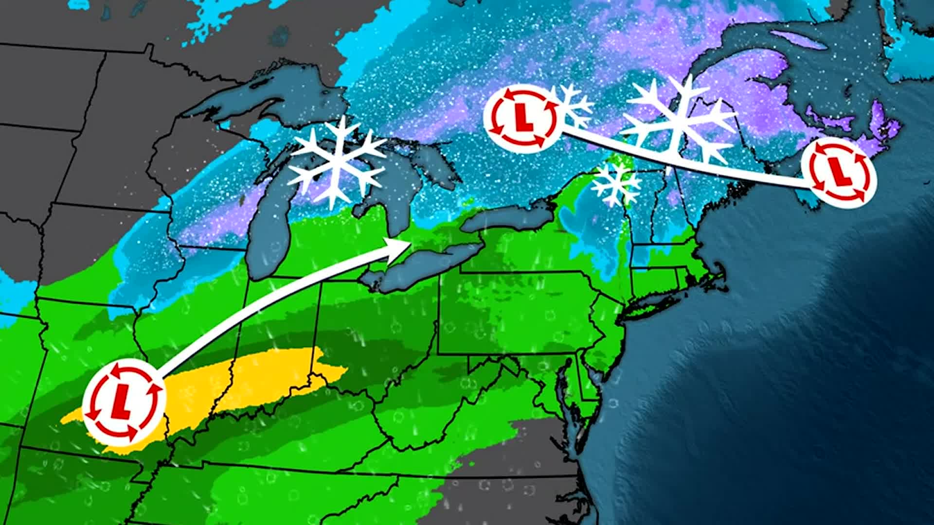 Bull Shark Washes Up in Australia Floods in Wake of Tropical Cyclone ...