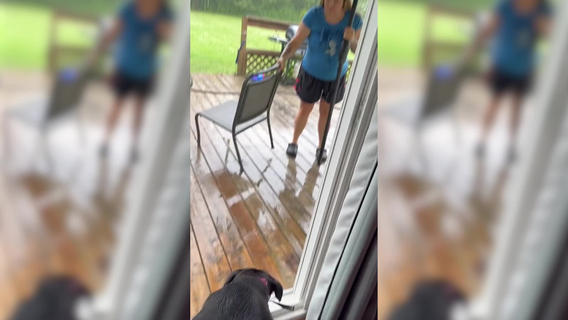 Owners Get Creative In Rain To Get Dog Outside - Videos from The ...