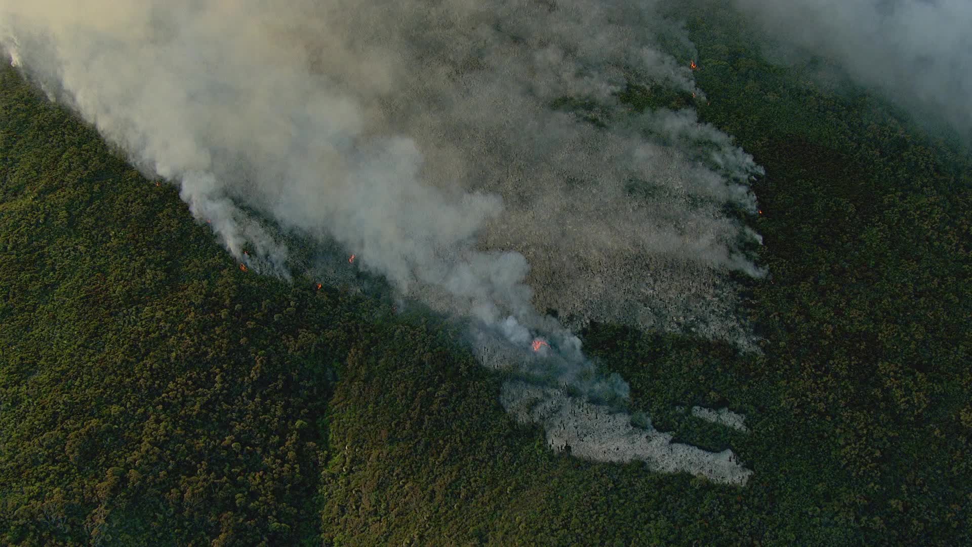 Aussie Wildfires Ate Away At Ozone Layer - Videos from The Weather Channel