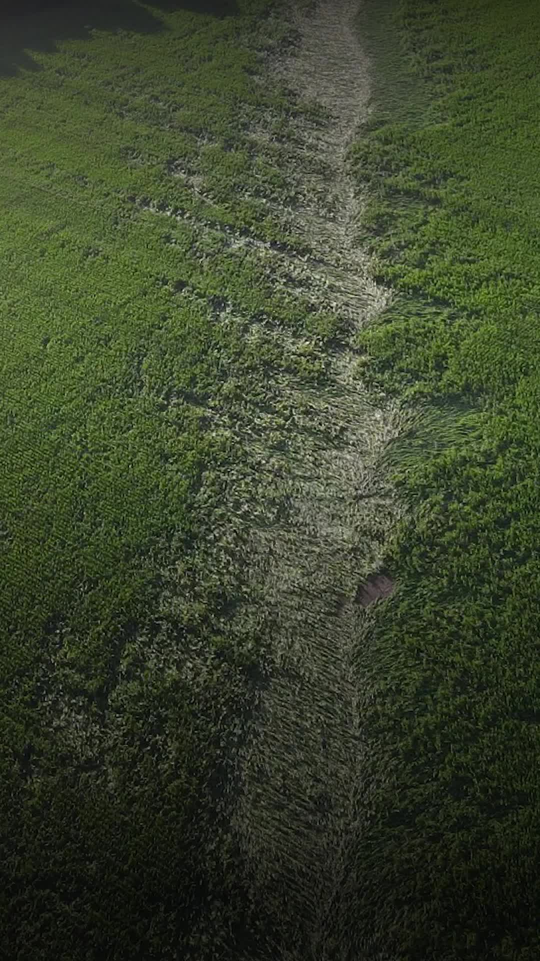 0630_PATH_OF_TORNADO_IMAGES_NATIONAL - Videos from The Weather Channel