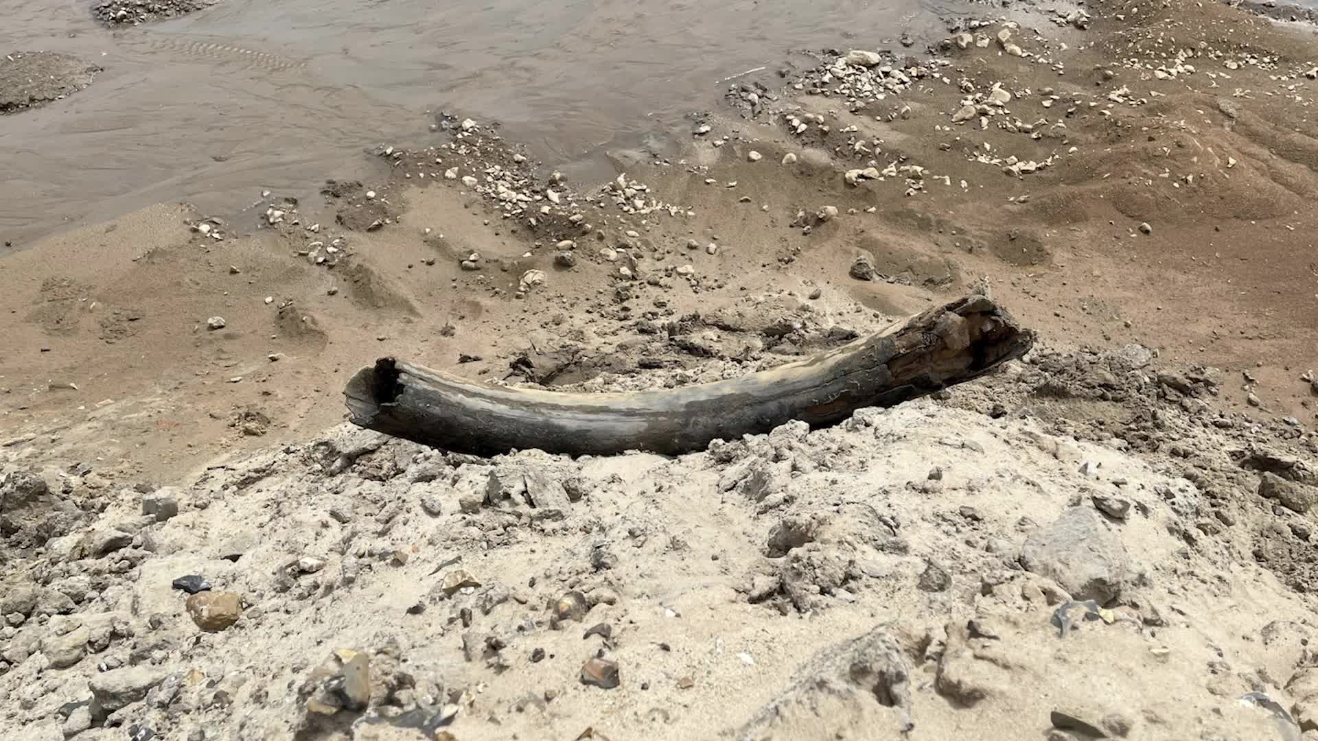 Rare Mammoth Tusk Found In English Quarry - Videos from The Weather Channel