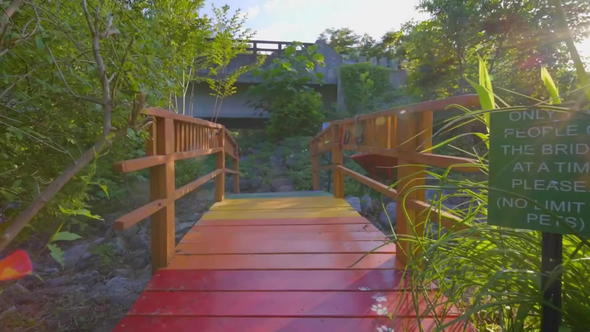 'Rainbow Bridge' Comforts Pet Owners - Videos from The Weather Channel
