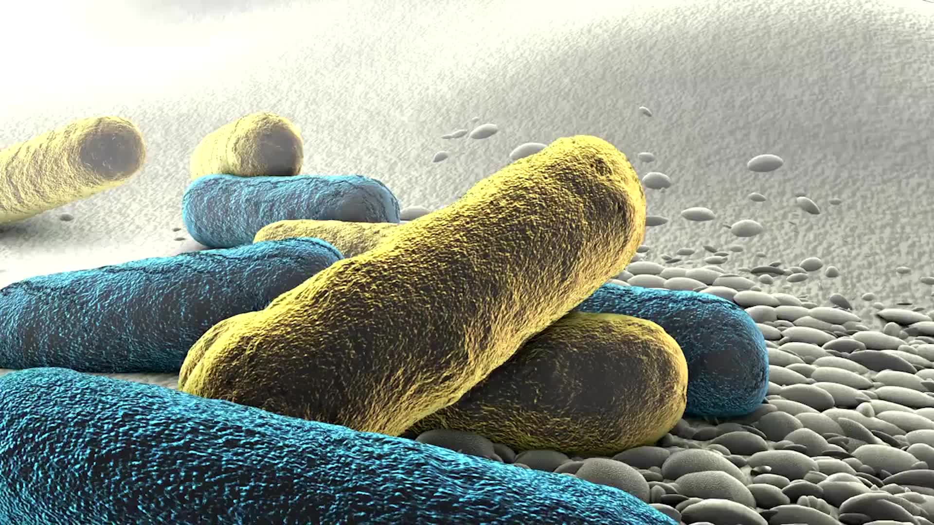 Air Pollution Linked To Surprising Health Threat - Videos from The ...