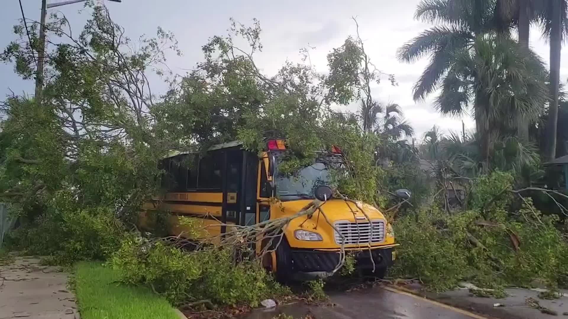 Tree Tumbles Onto School Bus With Kids Inside - Videos from The Weather ...