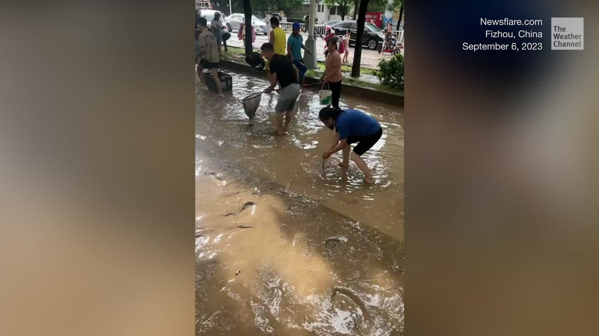 Locals Catch Street Fish After Typhoon - Videos from The Weather Channel