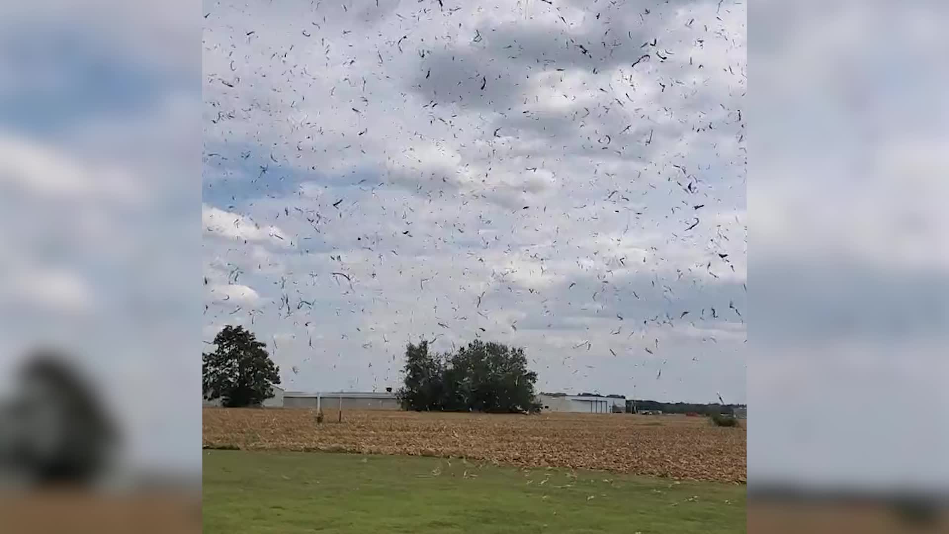 ‘Corn Devil’ Spotted In Kansas - Videos from The Weather Channel