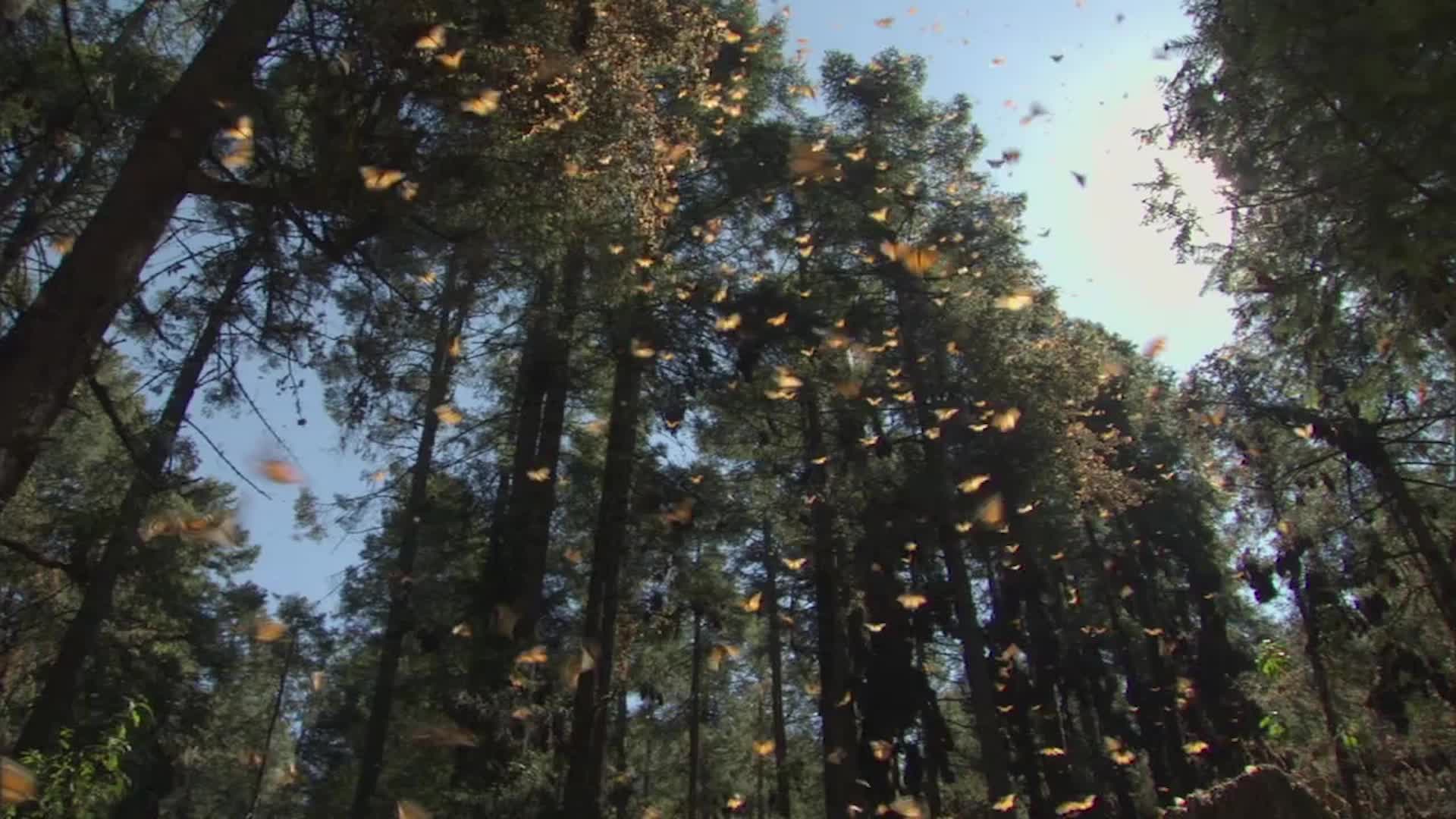 4 Stunning Reasons To Travel In October - Videos from The Weather Channel