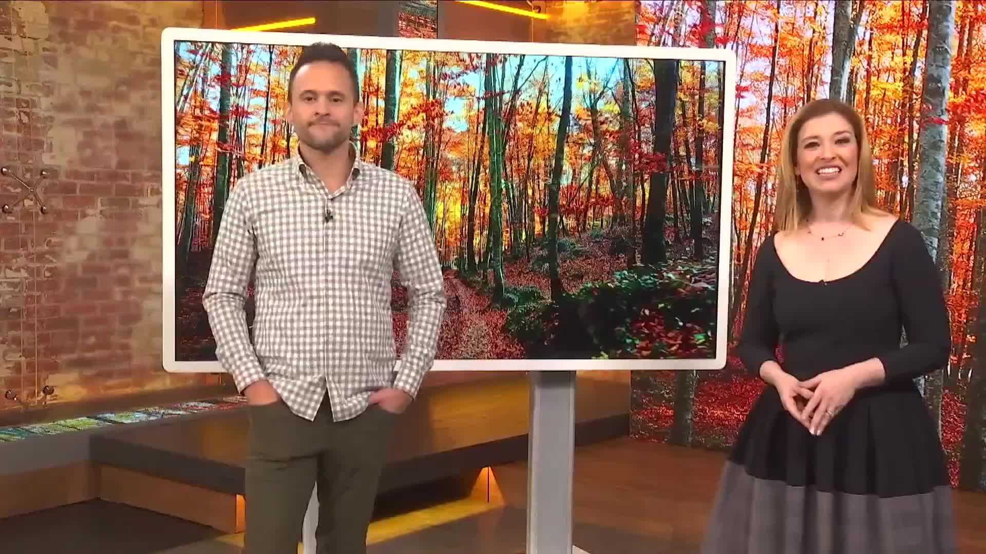 Our Meteorologists’ Favorite Things About Fall - Videos from The ...