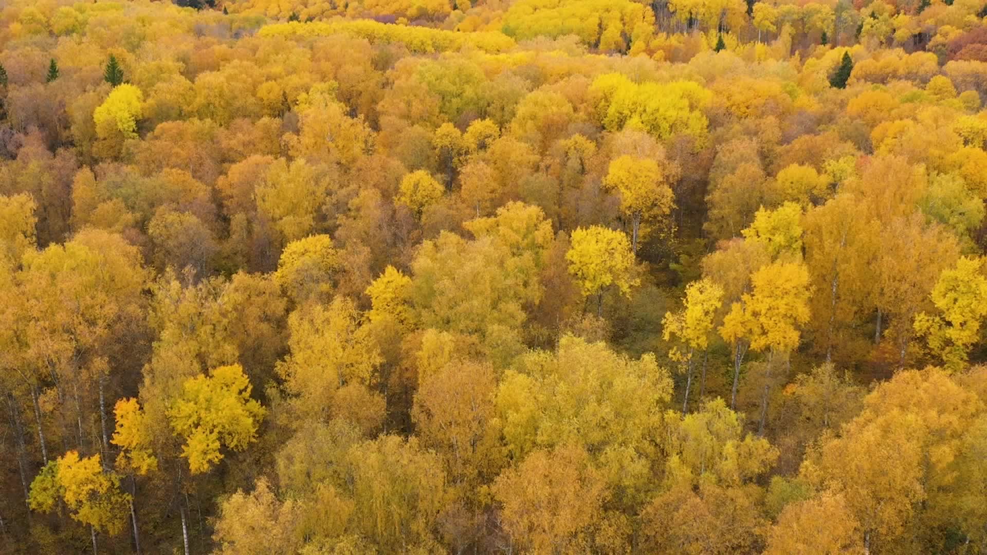 Could 'Winter Gas' Ease Fuel Prices? - Videos from The Weather Channel