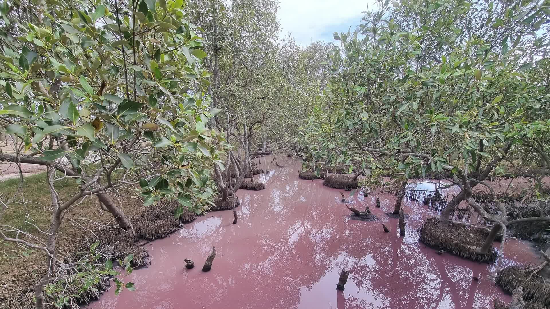 What’s Causing This Bright Pink Water? - Videos from The Weather Channel