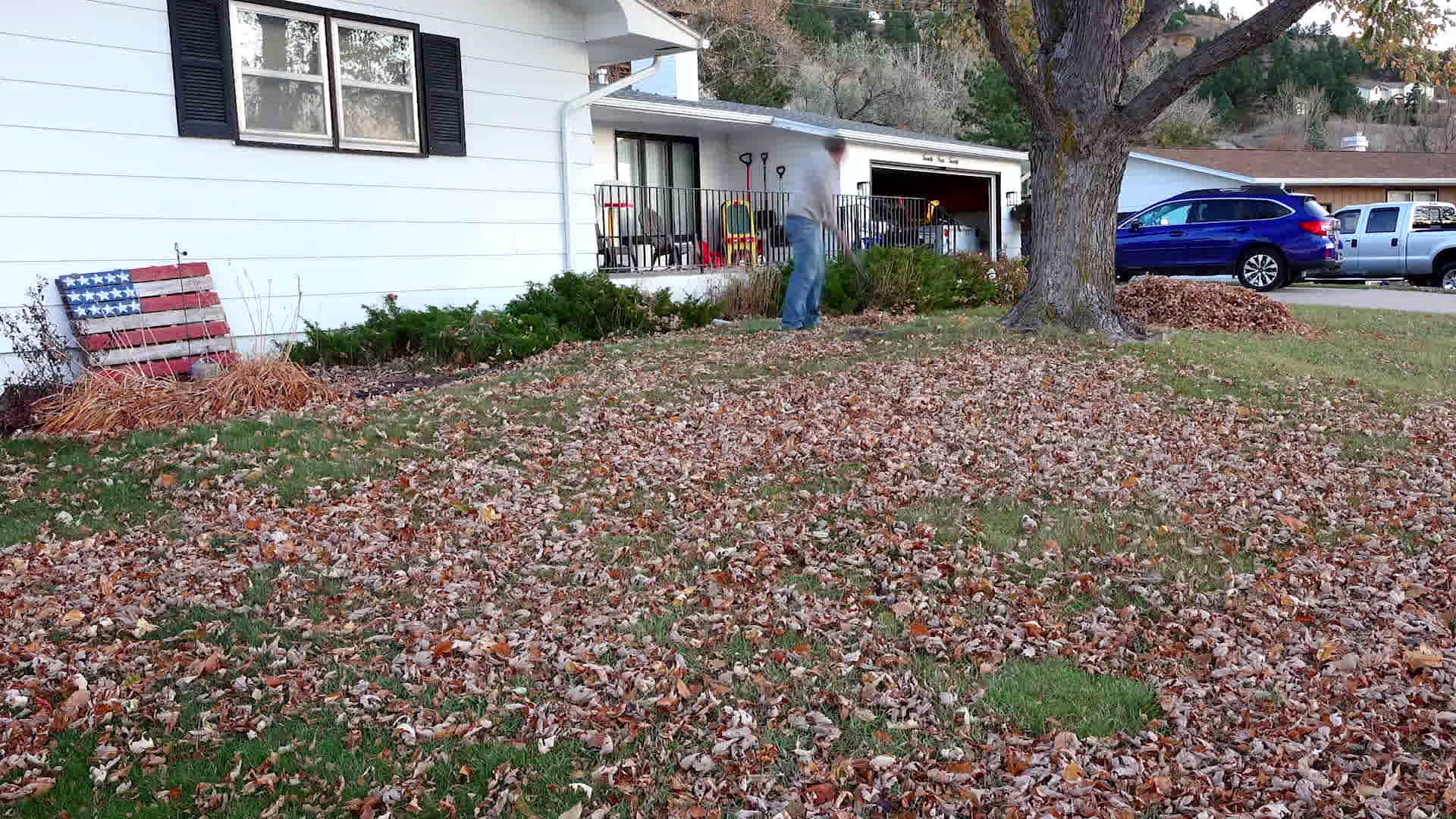 Epic Leaf Raking Adventure - Videos from The Weather Channel