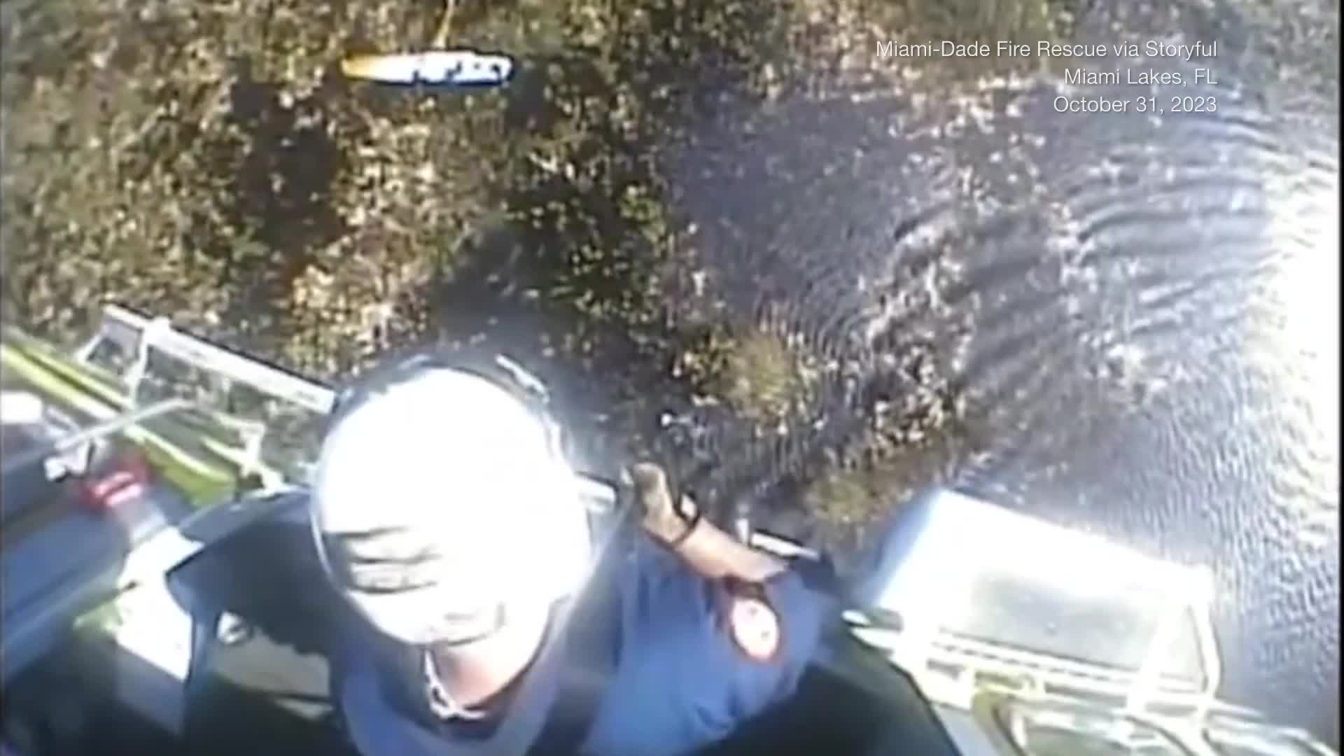 Pilot Pulled From Gator-Infested Waters - Videos from The Weather Channel