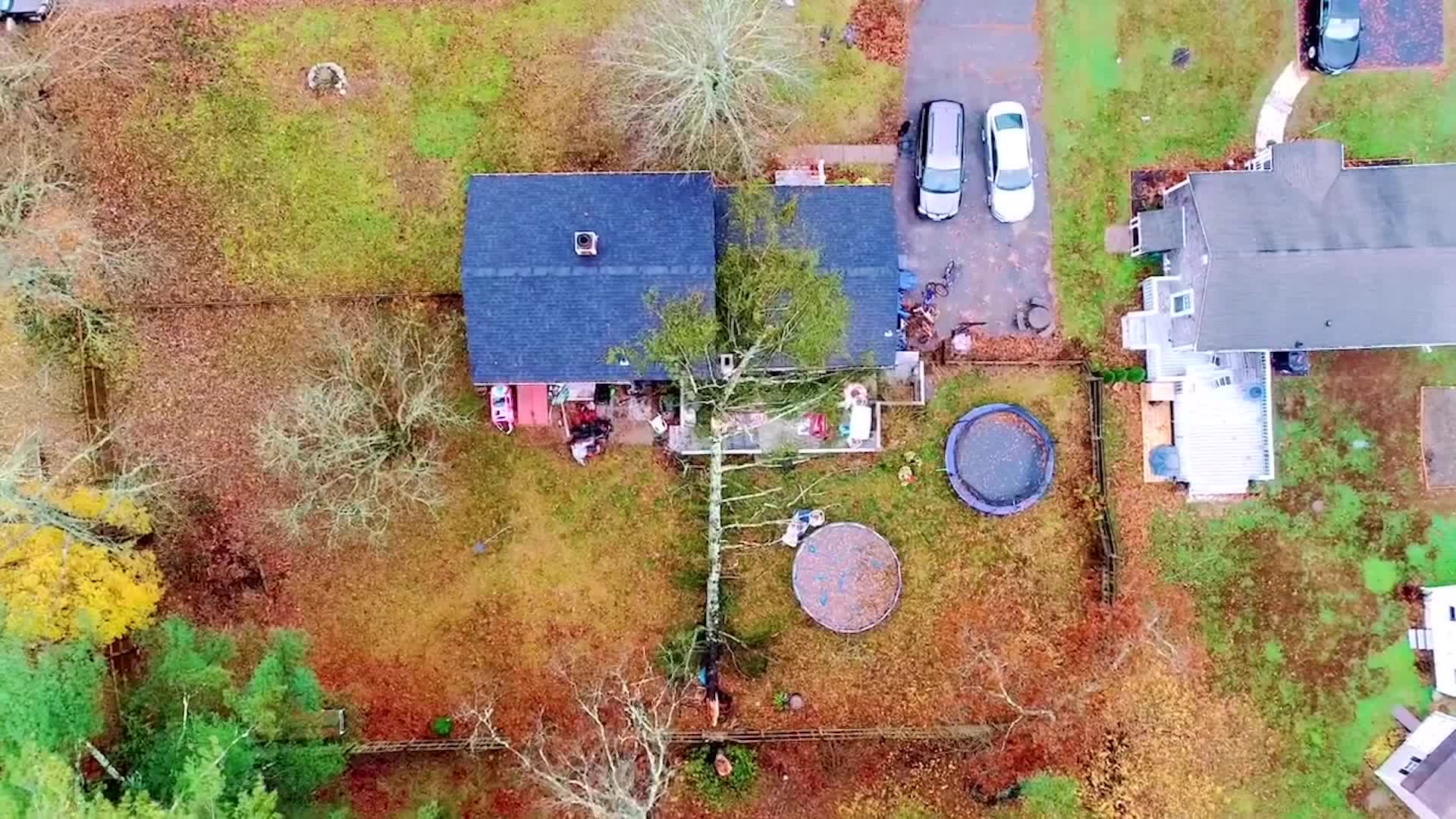 Massive Tree Falls On House - Videos from The Weather Channel