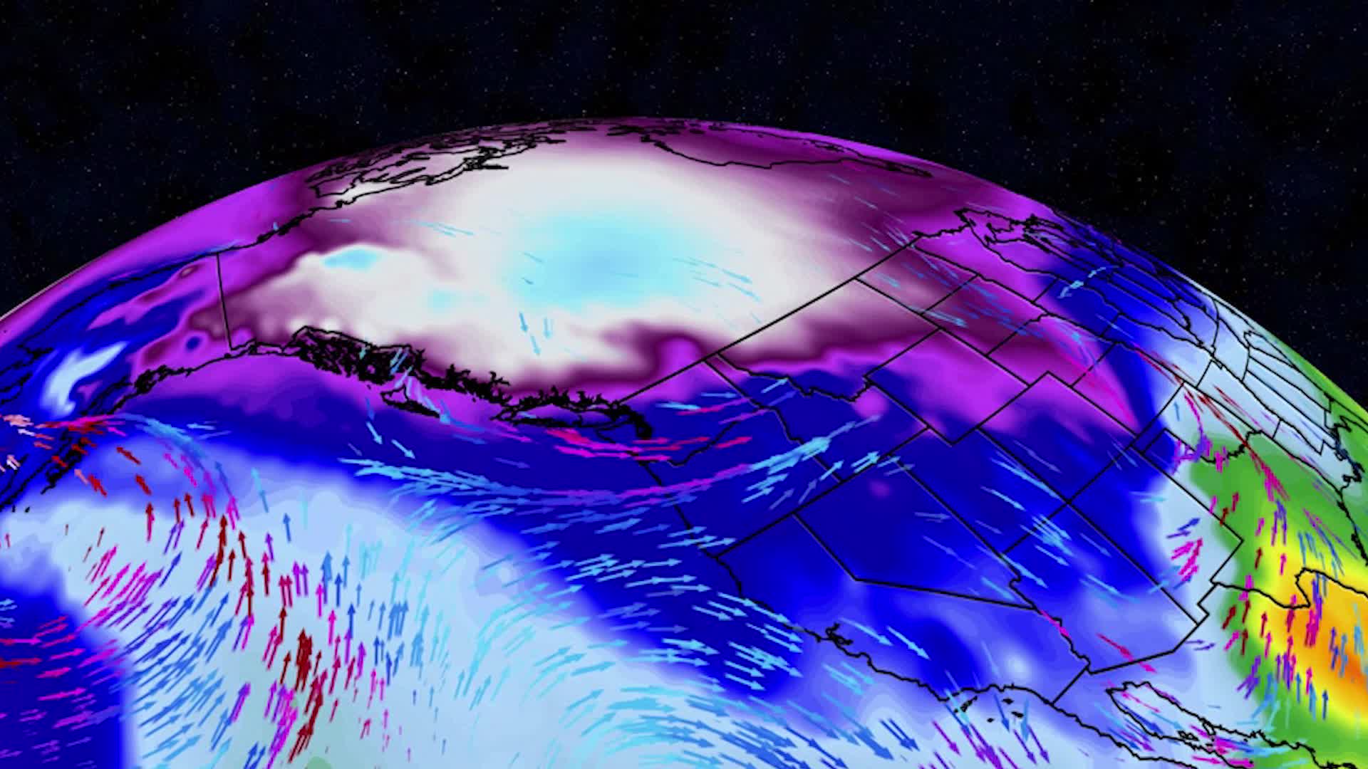 Wild Boar Dubbed ‘Pigzilla’ Spotted Digging Through Hong Kong Dumpster ...