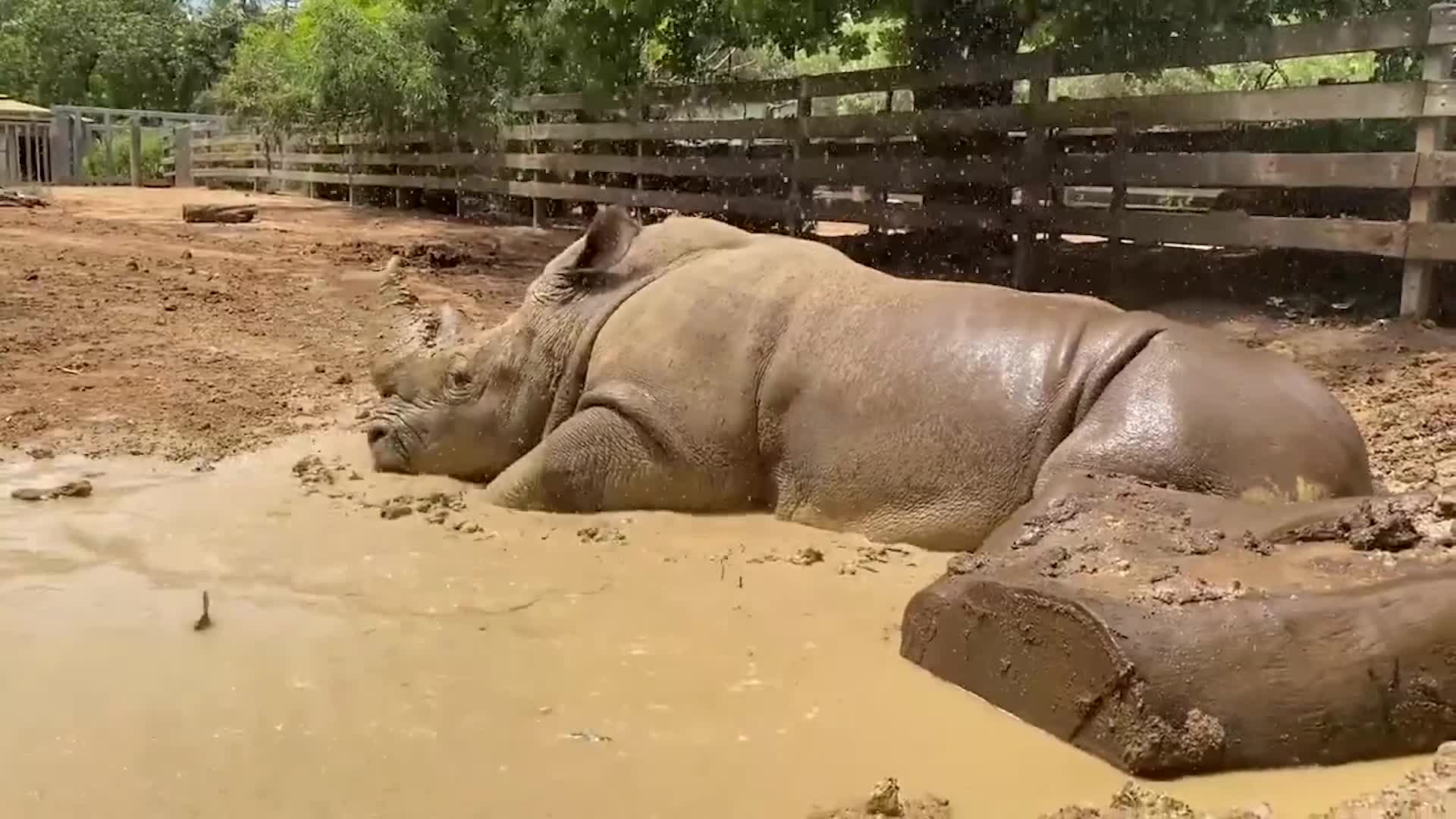 Aussie Zoo Animals Beat The Heat How? - Videos from The Weather Channel