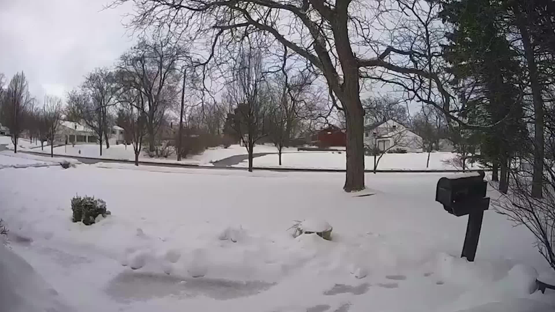 Turkey Sets Sights On Unsuspecting Mailman - Videos from The Weather ...