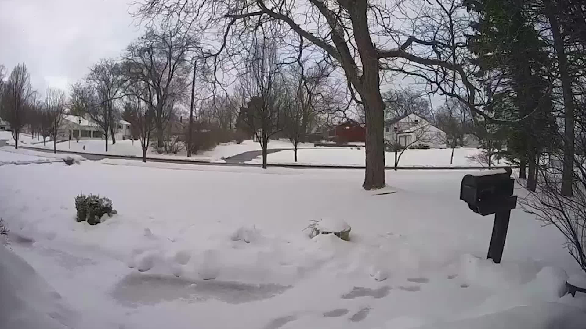 Turkey Sets Sights On Unsuspecting Mailman - Videos from The Weather ...