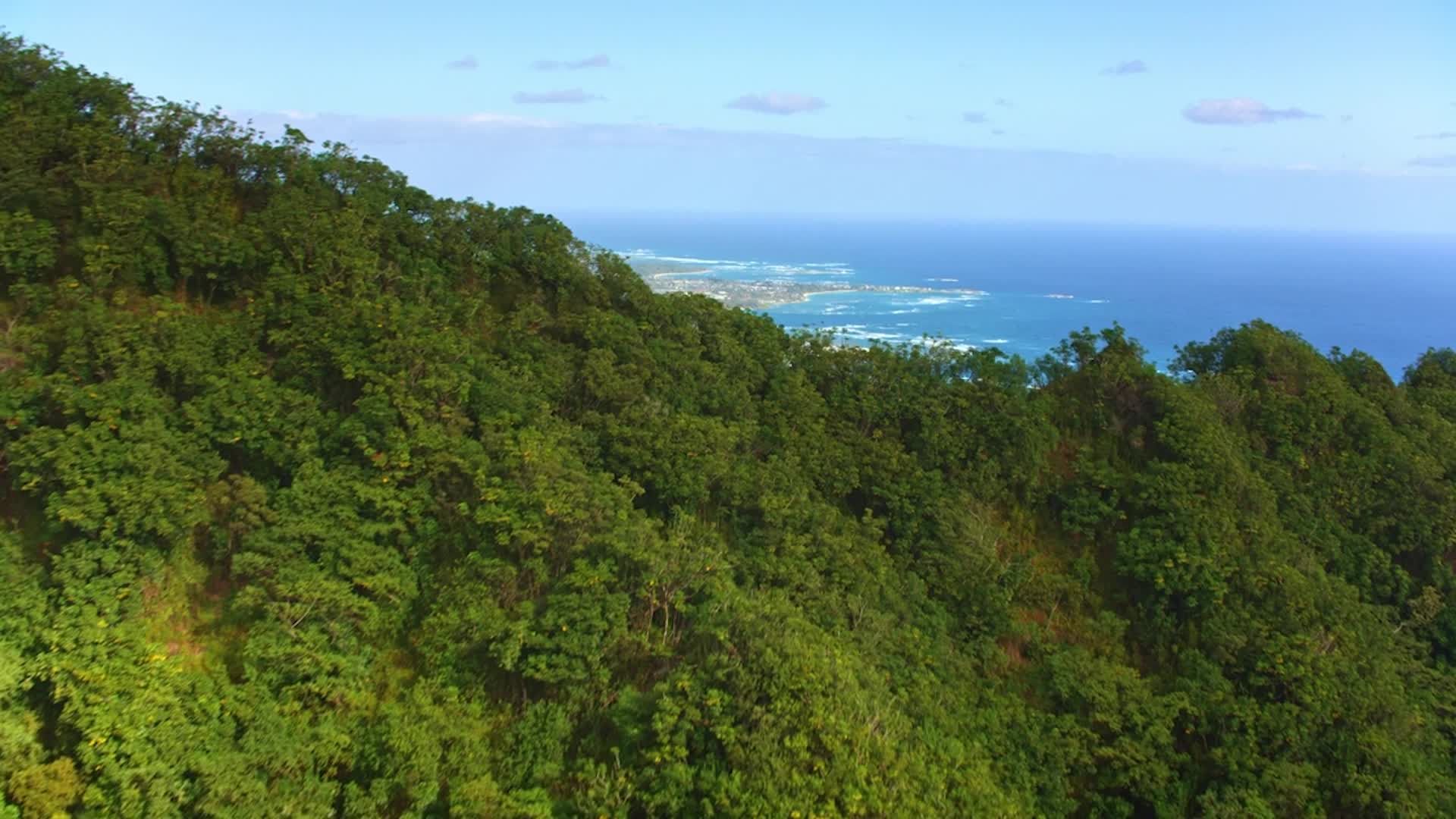 Survivor Of 1,000-Foot Fall Has A Message - Videos from The Weather Channel