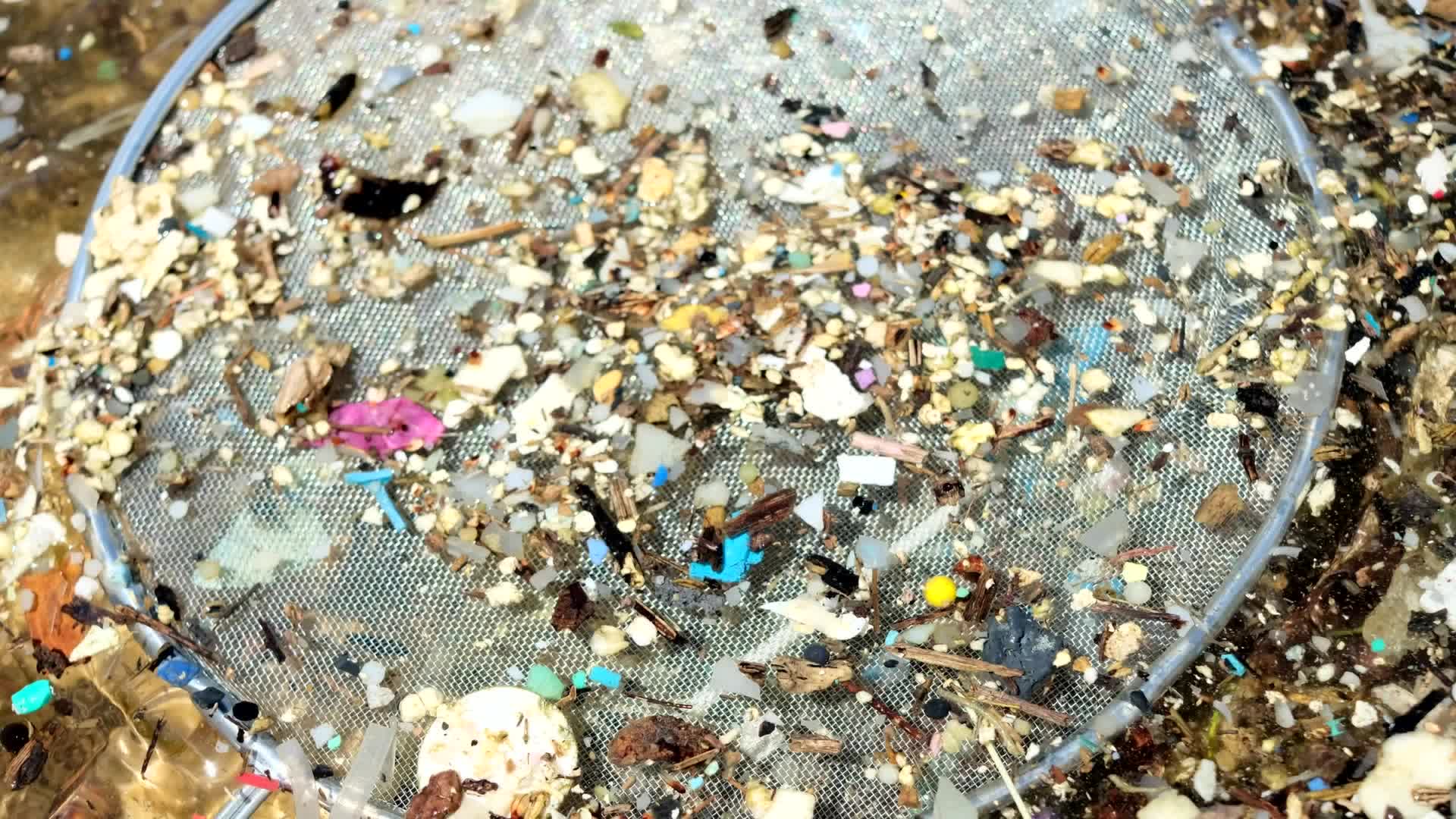 Everyday Plastics Tied To Heart Risk - Videos from The Weather Channel
