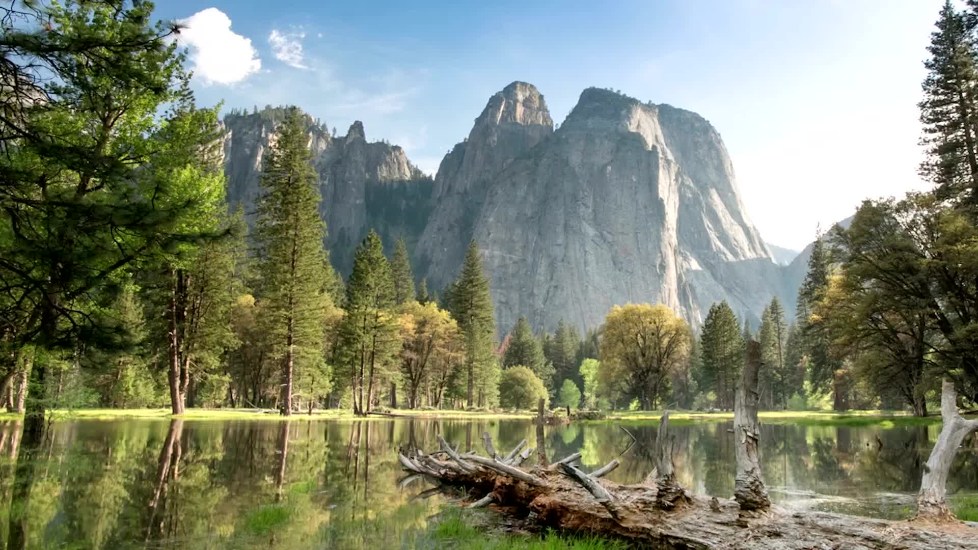 One State Home To 4 Most Polluted National Parks - Videos from The ...