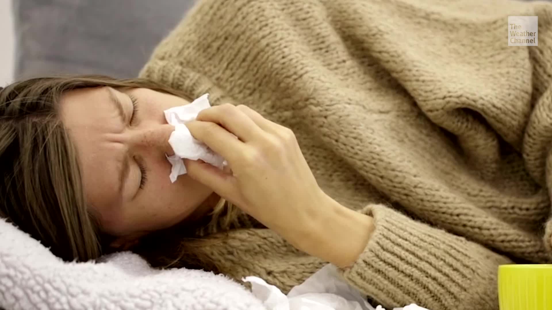 Flu Myths: What You Need To Know - Videos from The Weather Channel