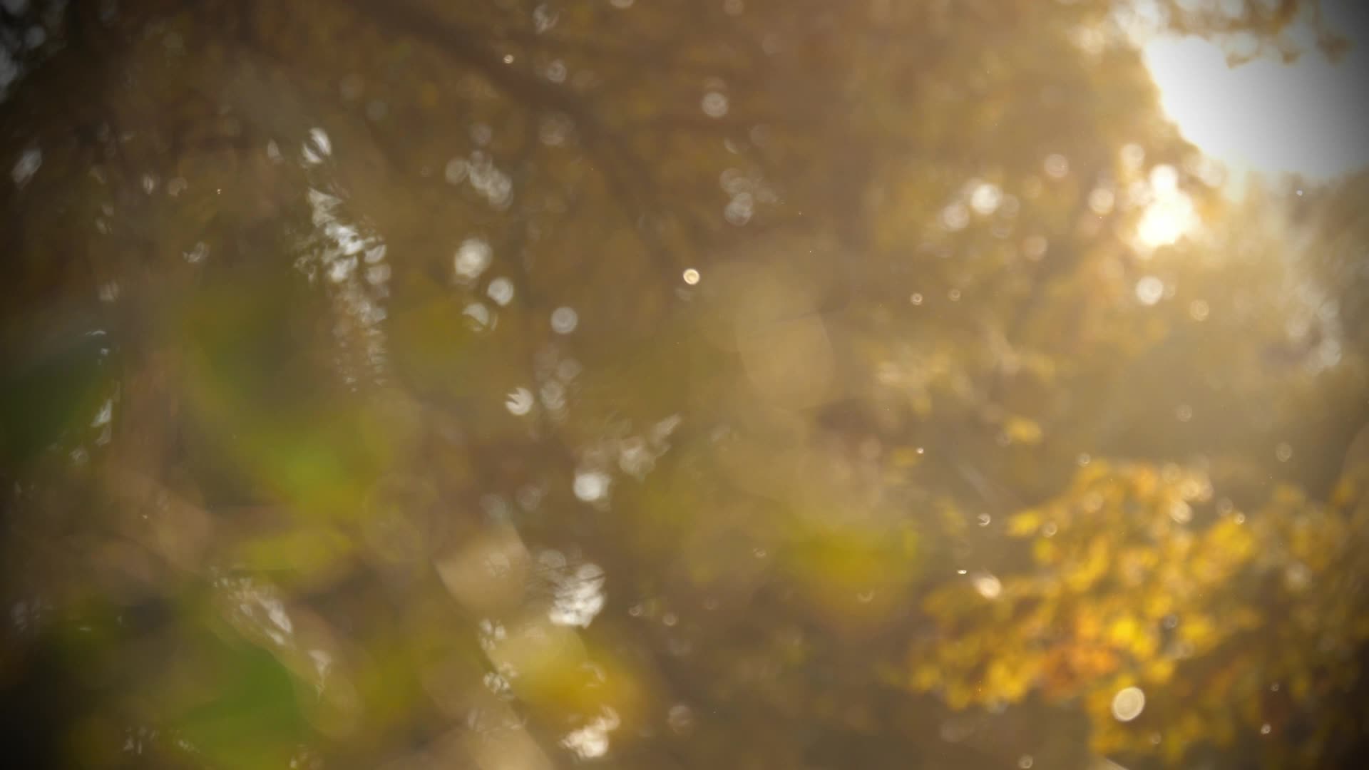 Pollen's Up: Windows Open Or Windows Closed? - Videos from The Weather ...