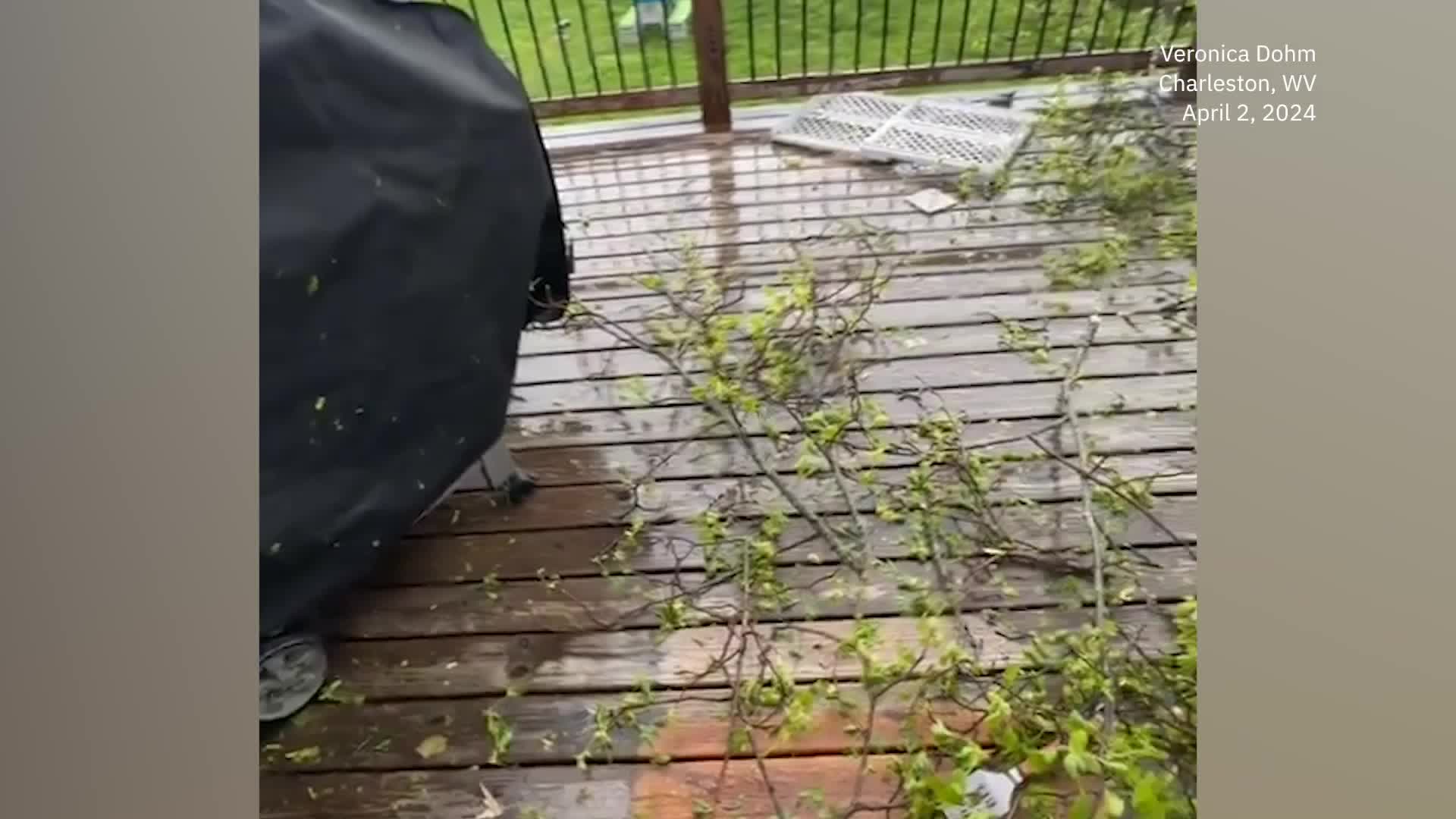 Tree Skewers Couch Through Wall Amid Storms - Videos from The Weather ...