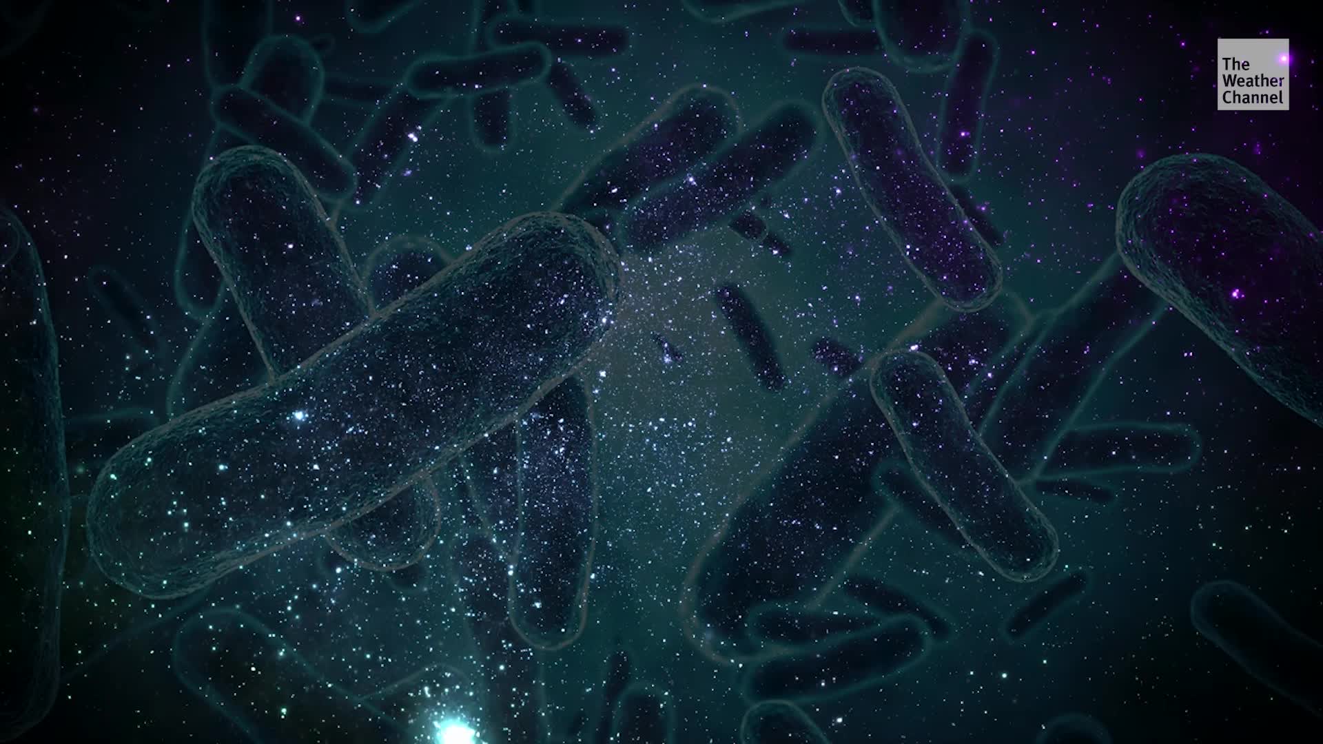 Bacteria From Space Boosting Sunscreen - Videos from The Weather Channel