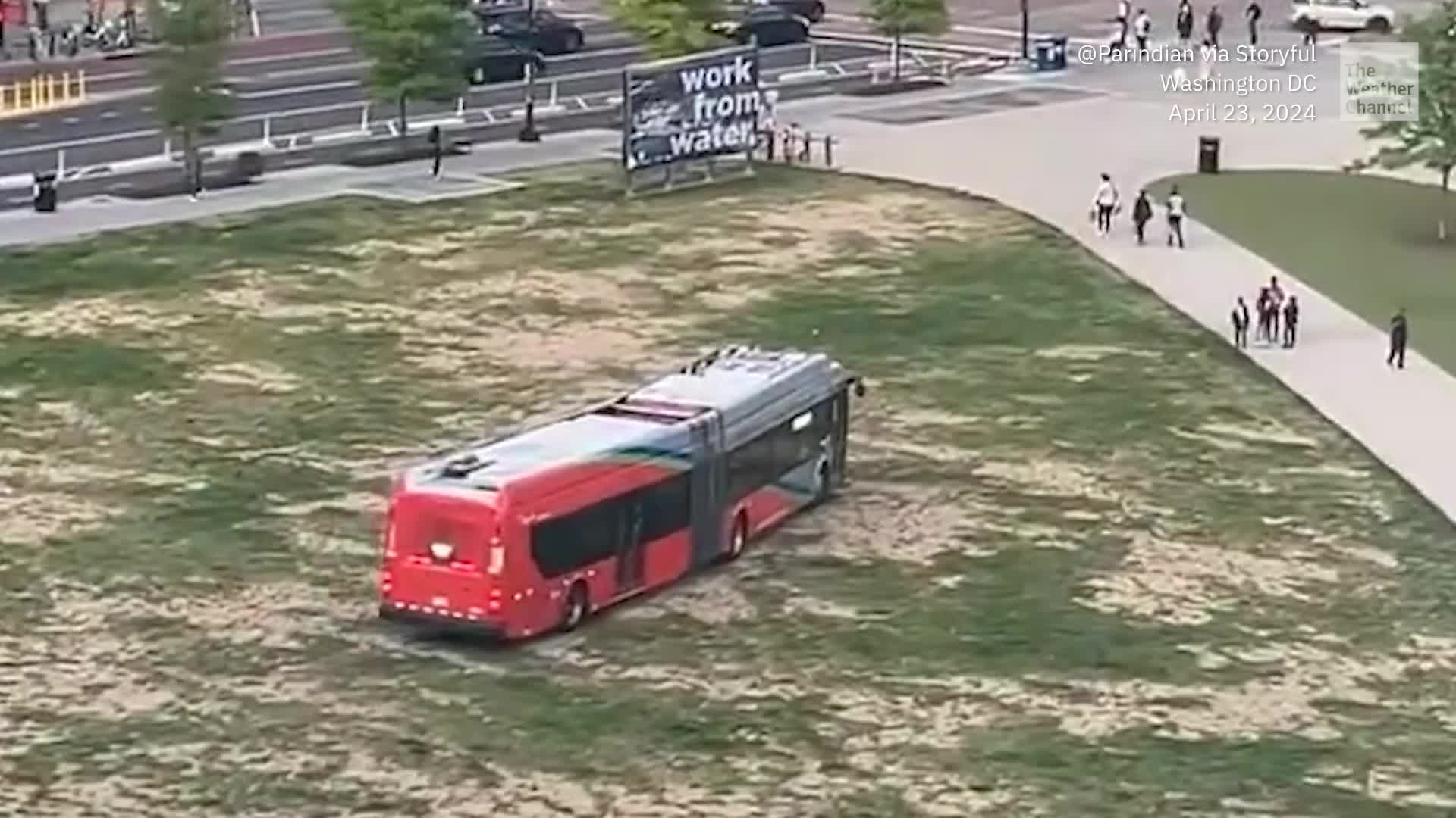 Why Is This Bus Driving Over A Green Space? - Videos from The Weather ...