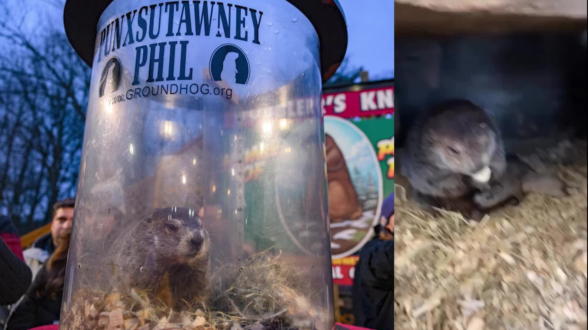 You Can Name Punxsutawney Phil’s Heirs - Videos from The Weather Channel
