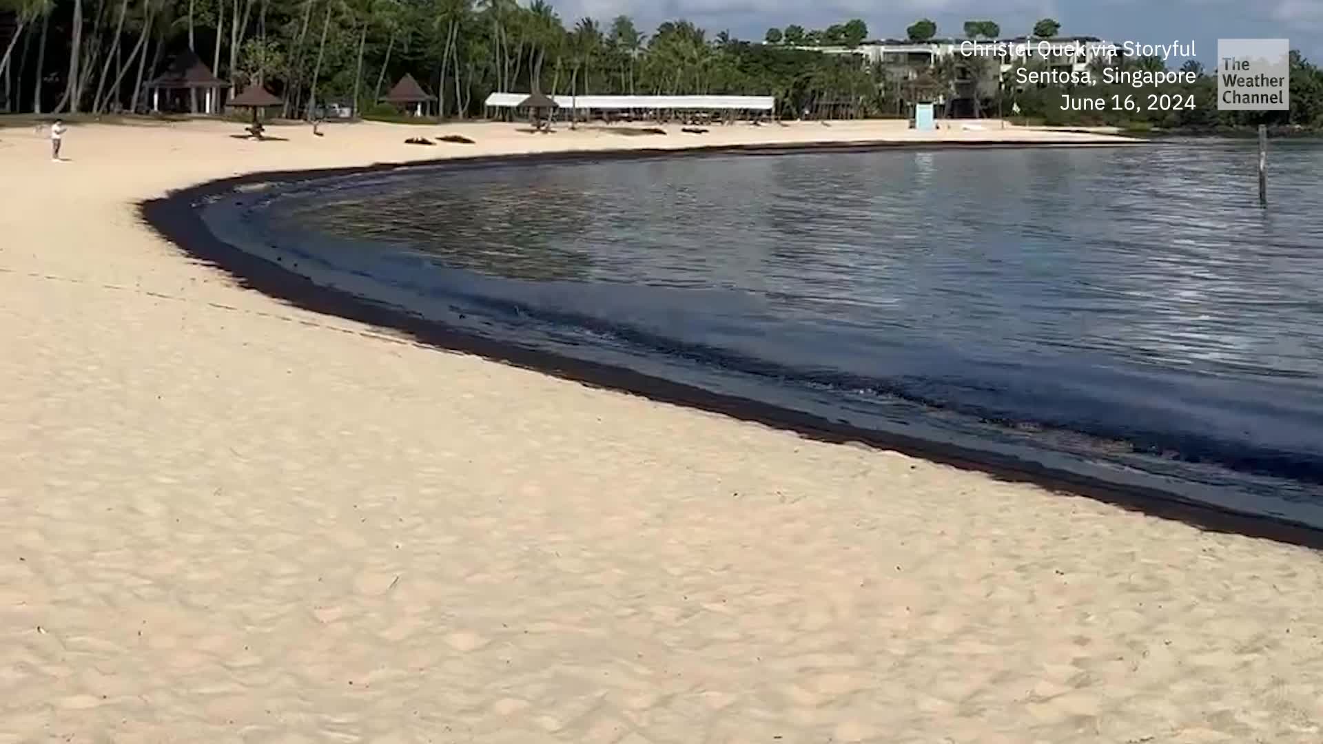 Oil Spill Shuts Down Resort Beach - Videos from The Weather Channel