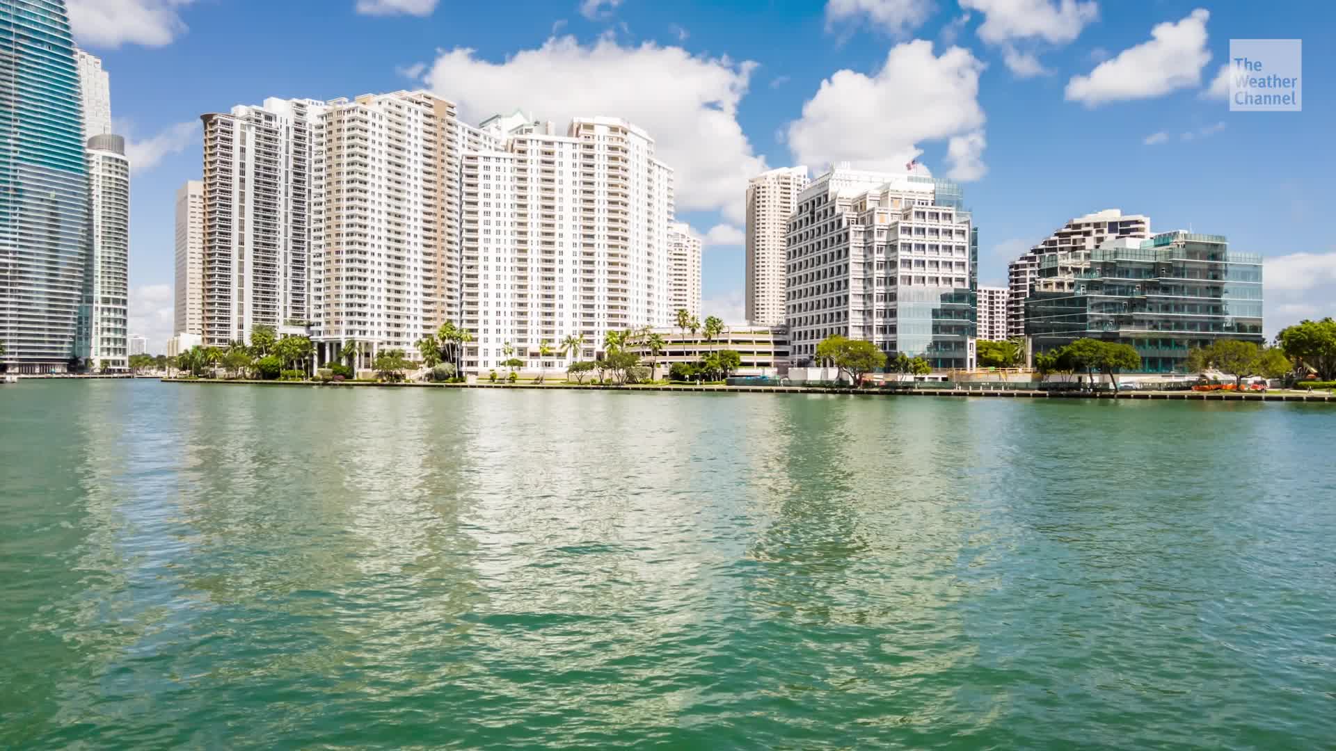 World's First Chief Heat Officer's Tips - Videos from The Weather Channel